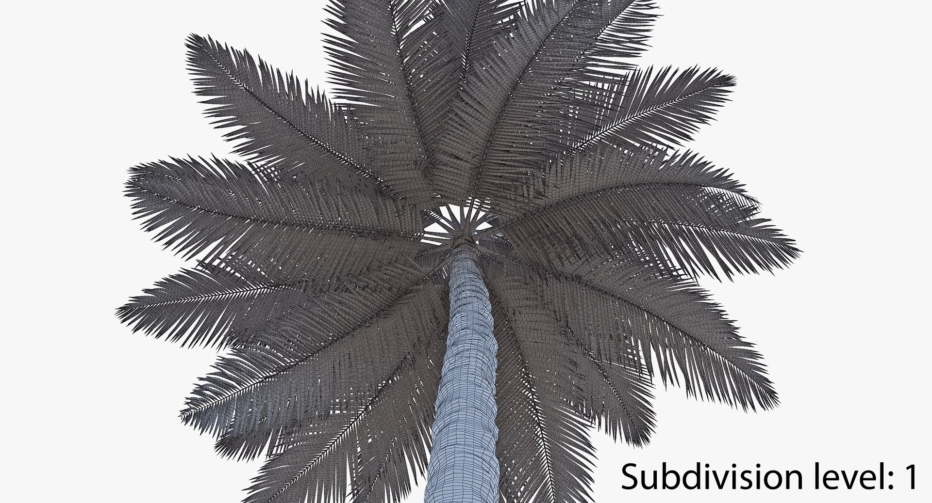 Palm 02 3D model - TurboSquid 1393583