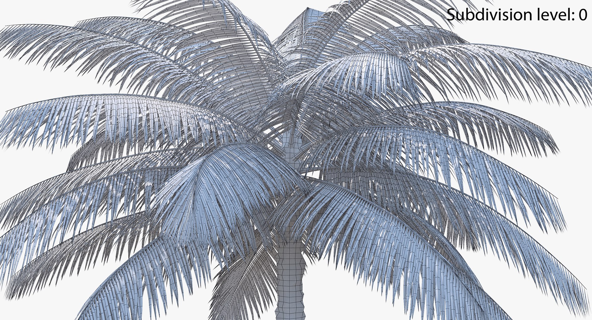 Palm 02 3D Model - TurboSquid 1393583