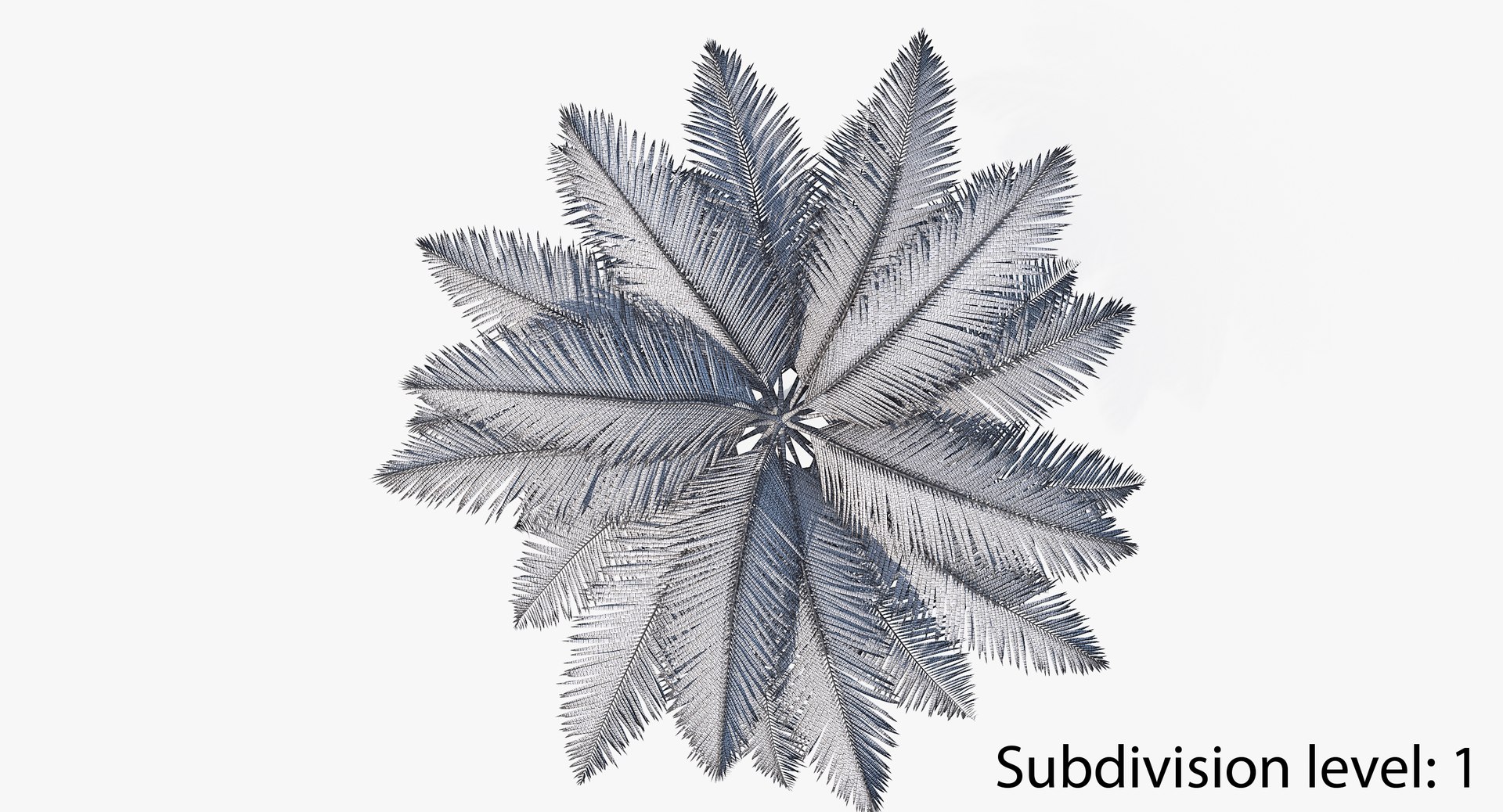 Palm 02 3D model - TurboSquid 1393583