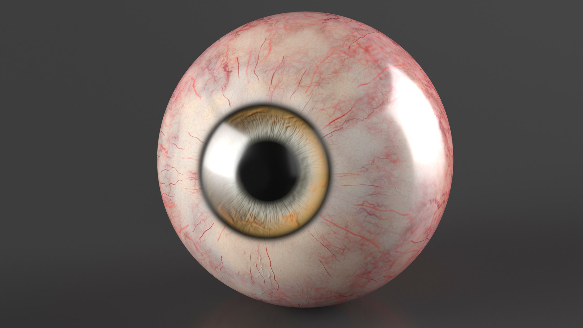 3D Model Realistic Dog Eye - TurboSquid 2193365