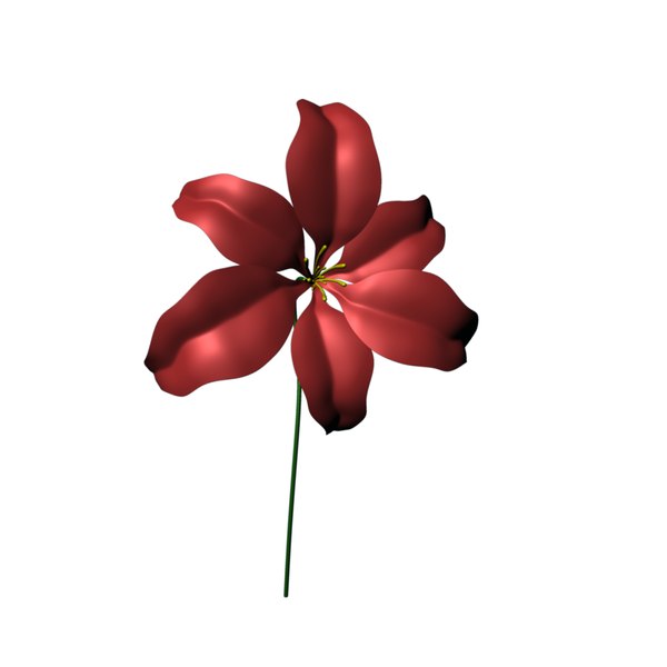 lily 3d model