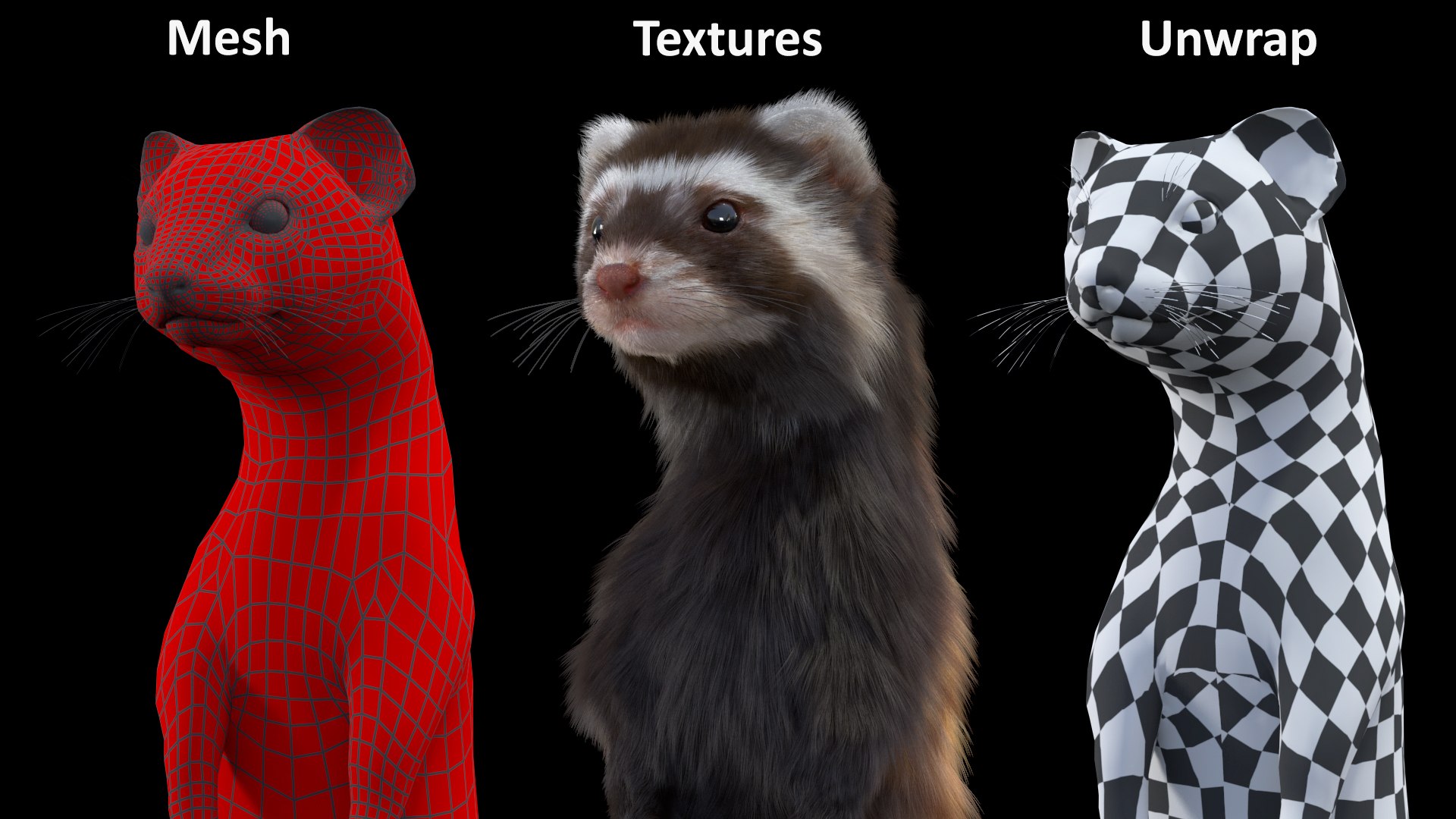 Vormela Peregusna Stands On His Hind Legs Fur 3D - TurboSquid 2206773