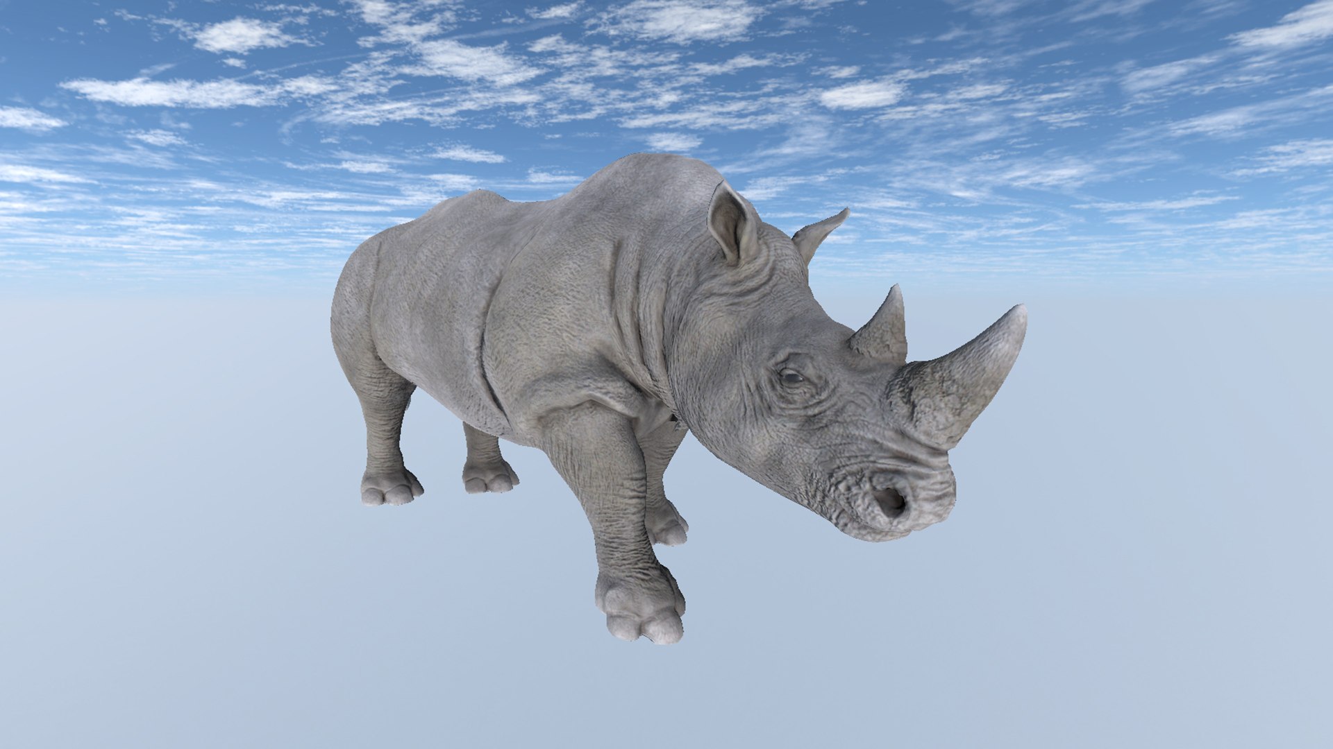 Rhino 3D - TurboSquid 2097084