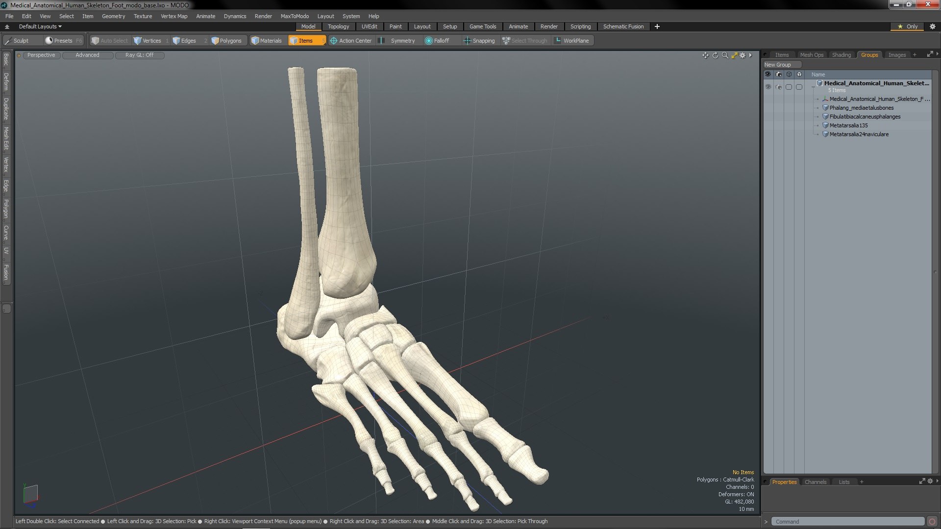 3D model Medical Anatomical Human Skeleton Foot - TurboSquid 2025925