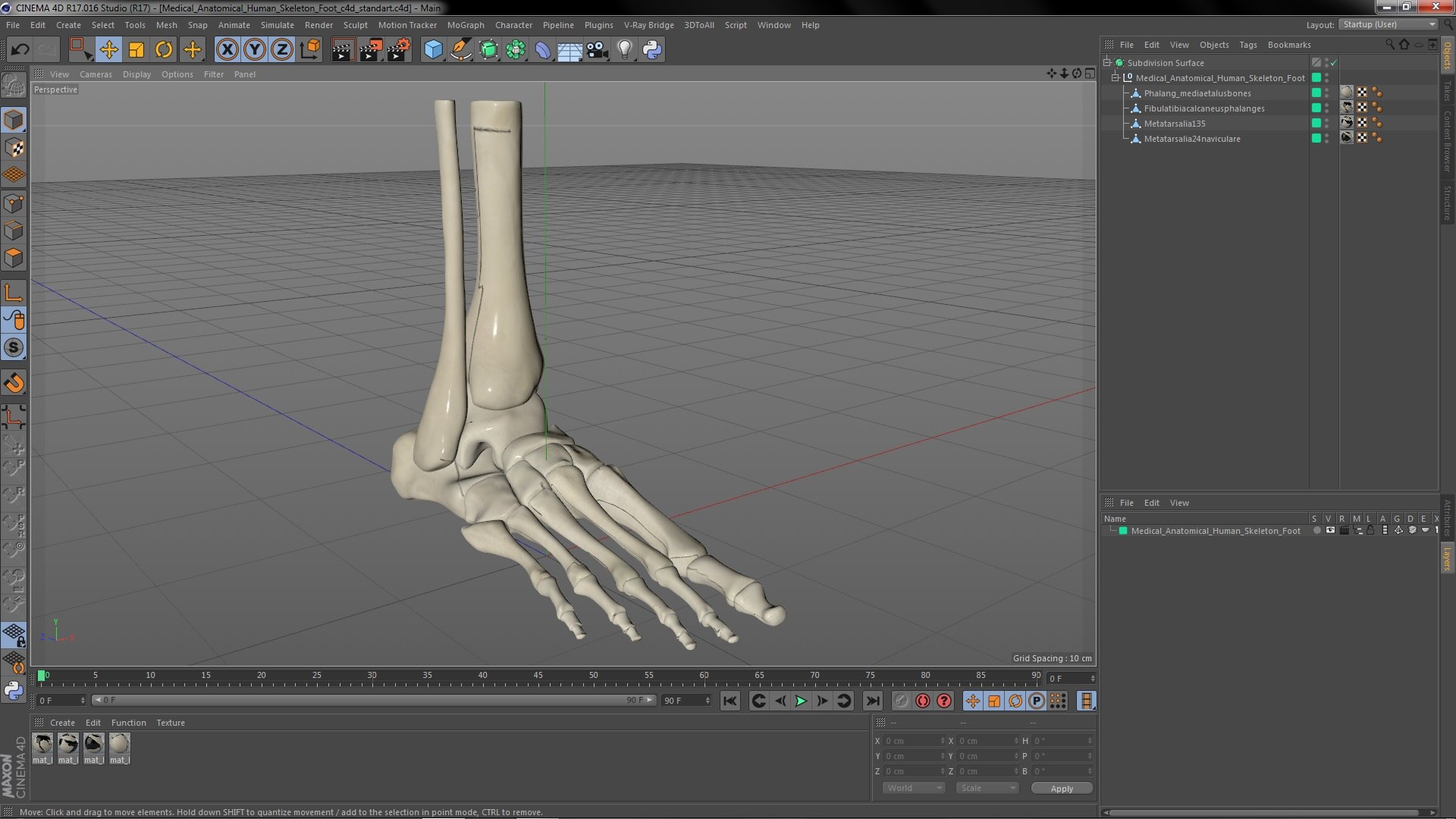 3D model Medical Anatomical Human Skeleton Foot - TurboSquid 2025925