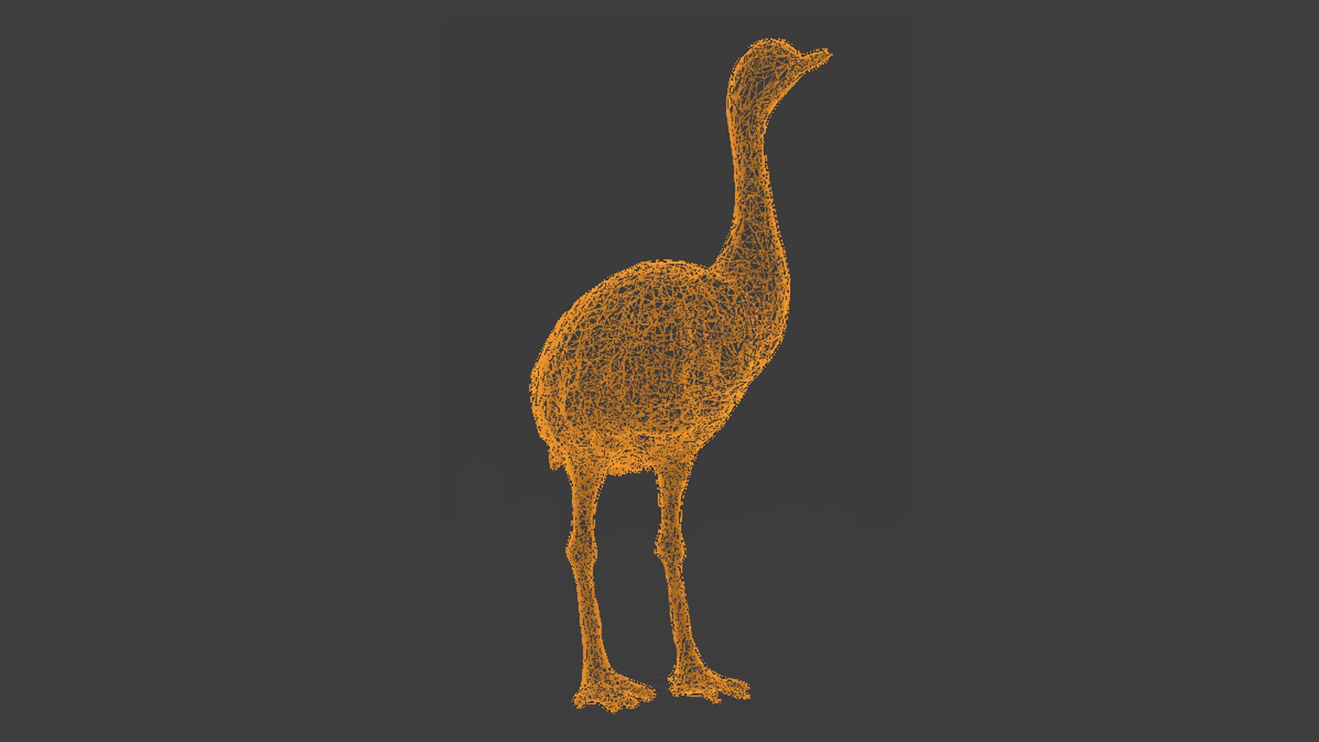 Ostrich 3D Model - TurboSquid 2283987