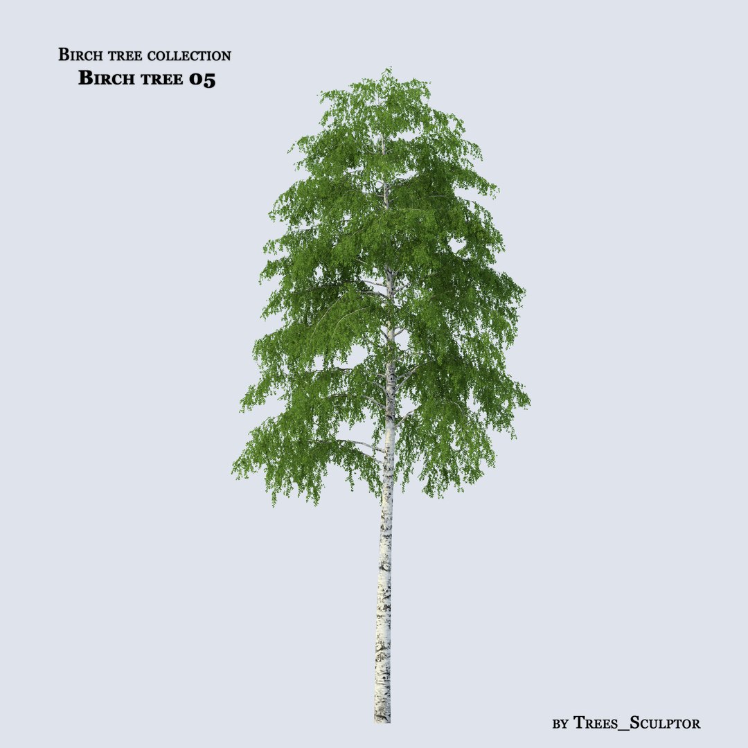3ds Max Birch Tree