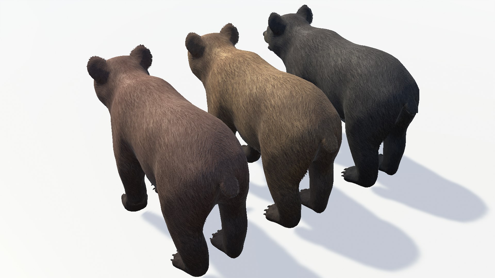 3D Bear - Cub model - TurboSquid 2104864