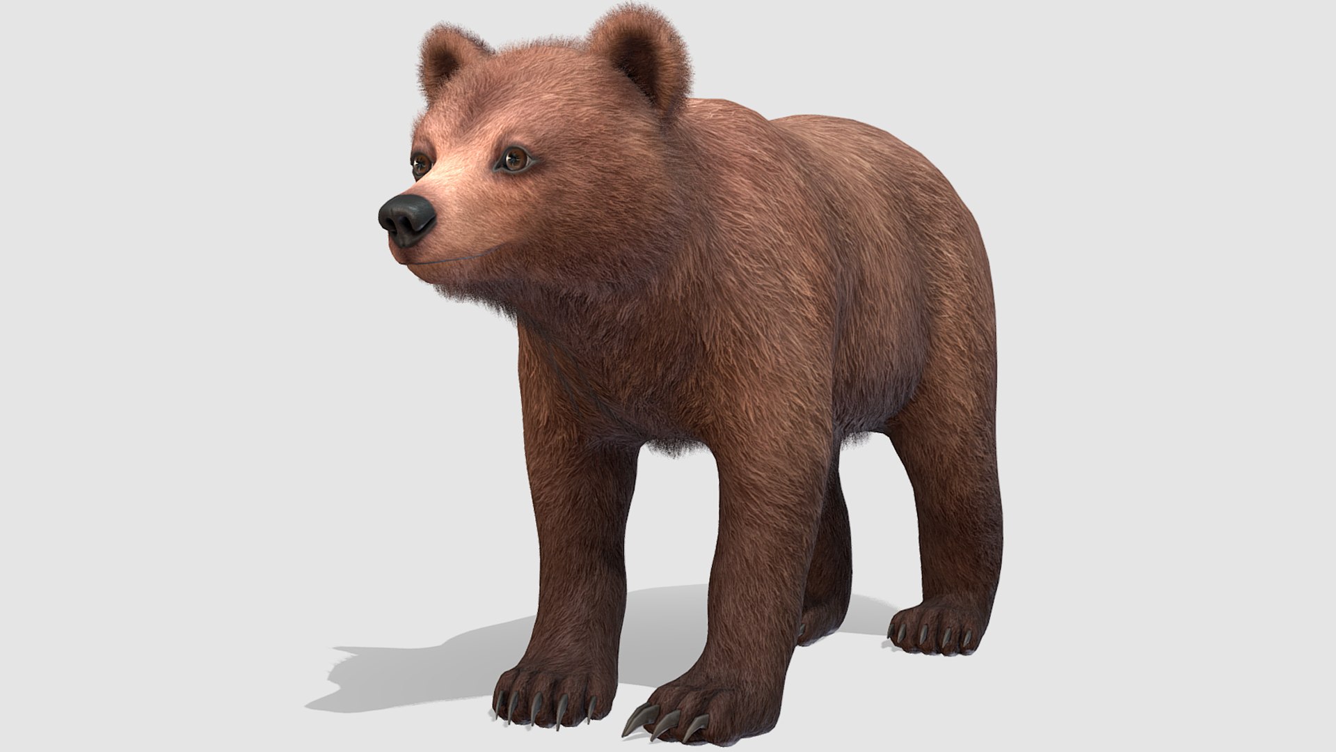 3D Bear - Cub model - TurboSquid 2104864