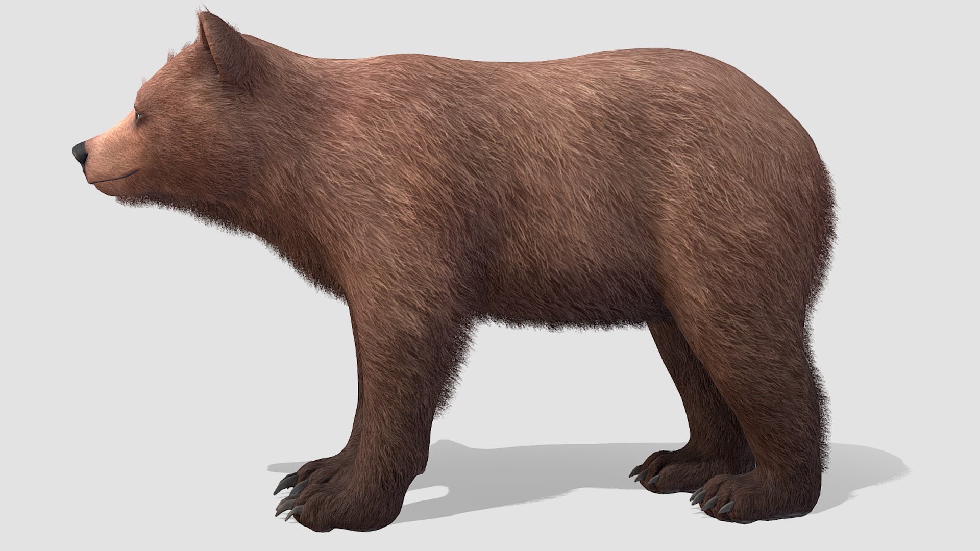 3D Bear - Cub model - TurboSquid 2104864