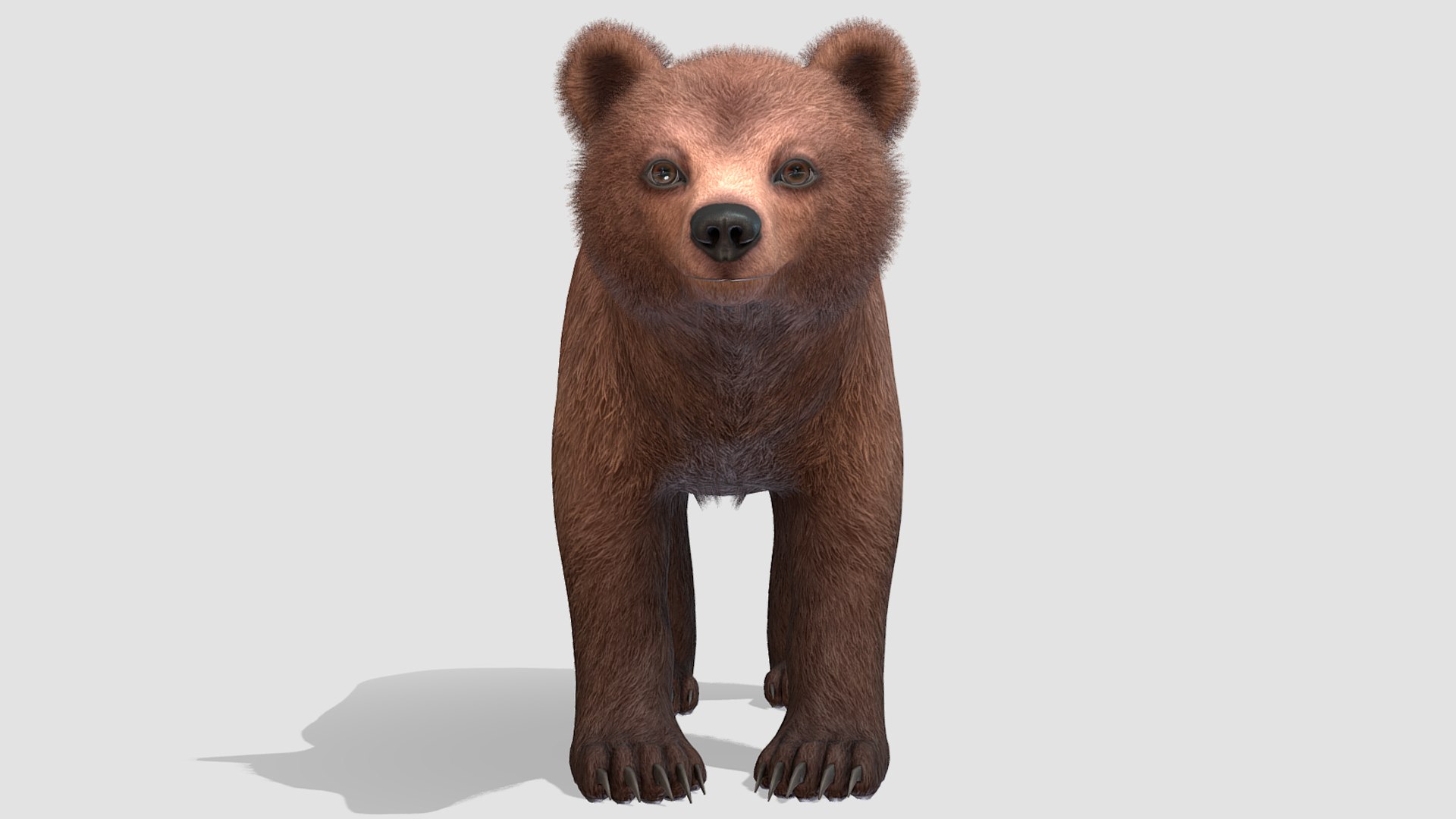 3D Bear - Cub model - TurboSquid 2104864