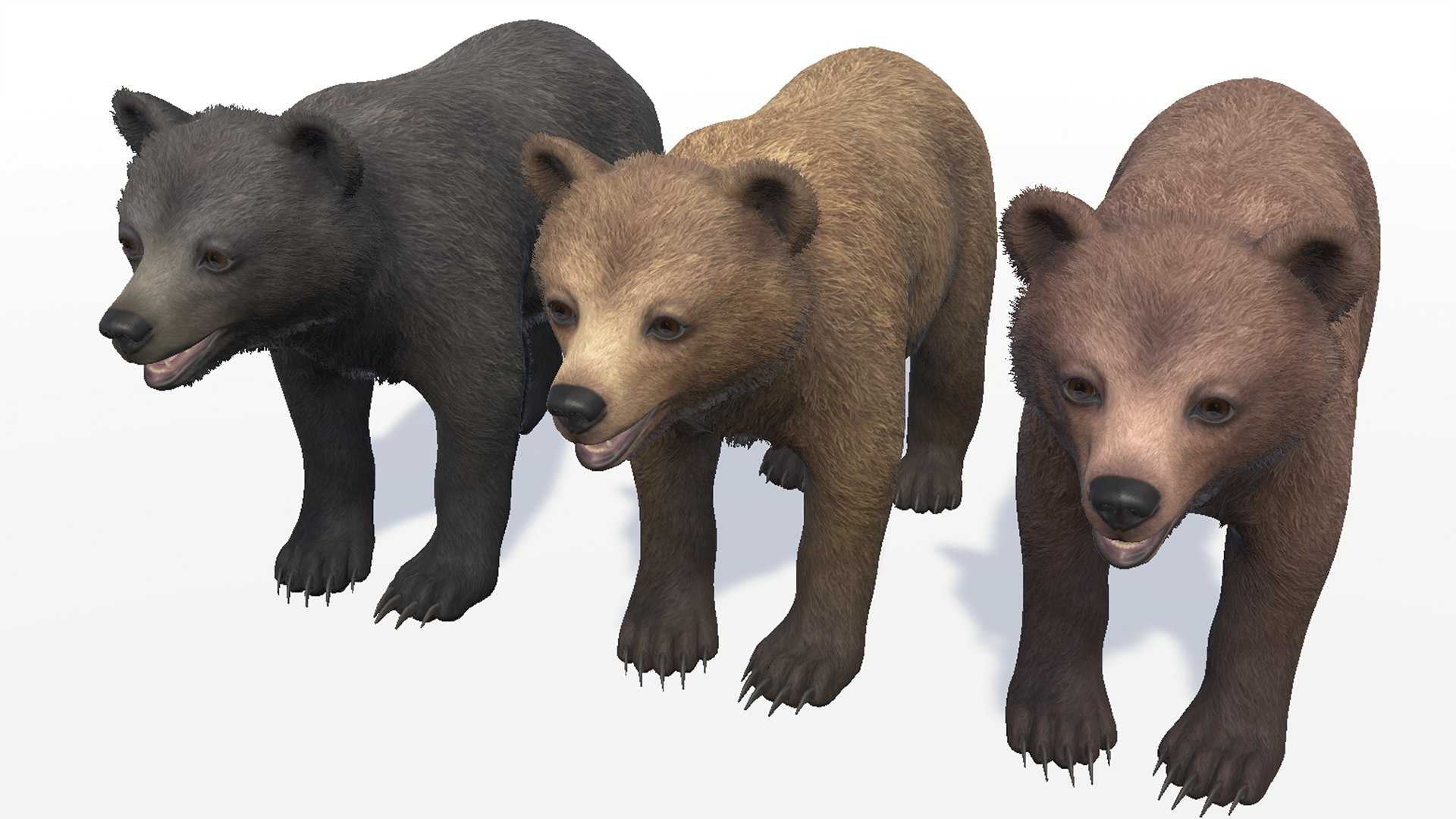 3D Bear - Cub model - TurboSquid 2104864