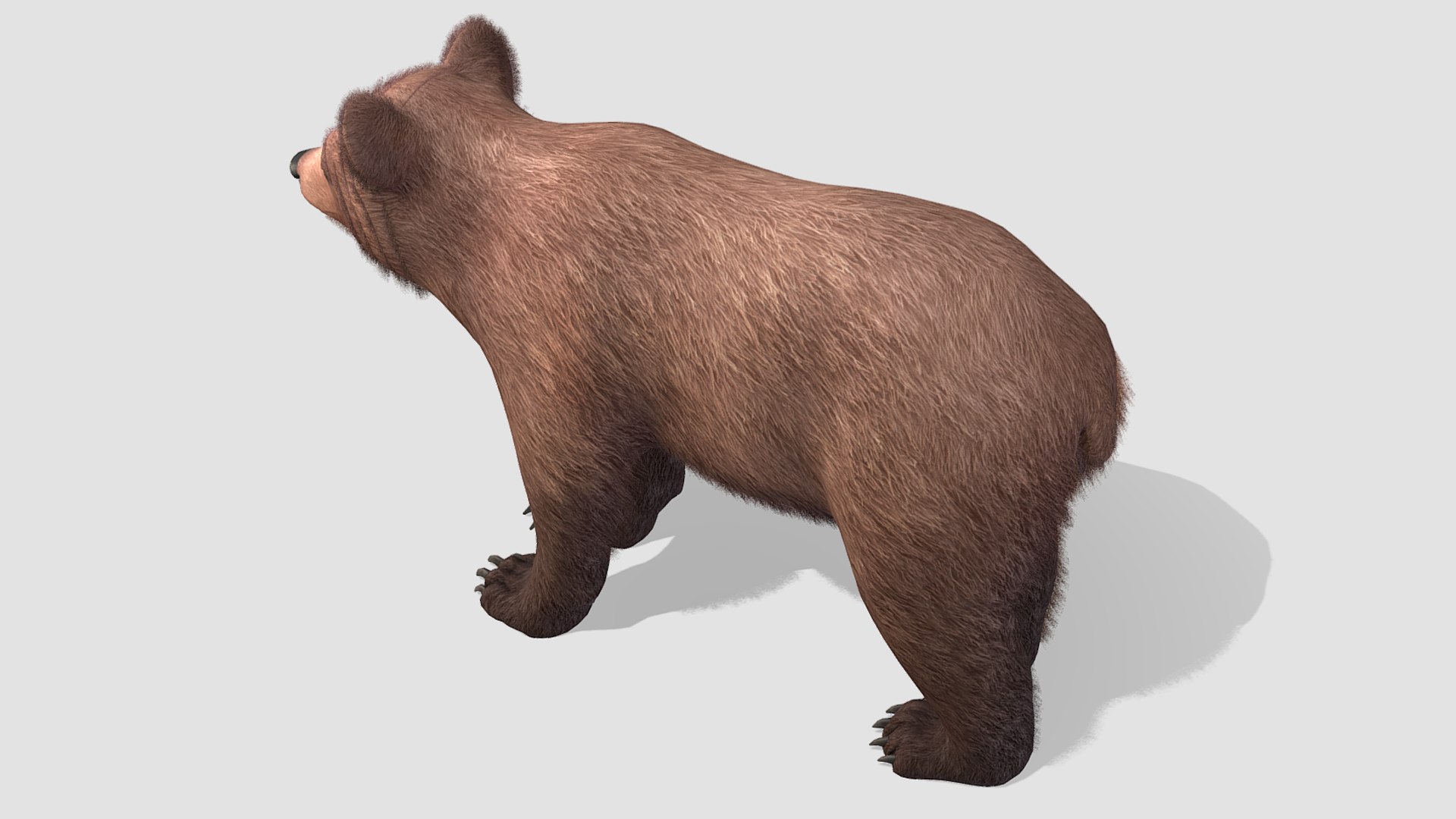 3D Bear - Cub model - TurboSquid 2104864