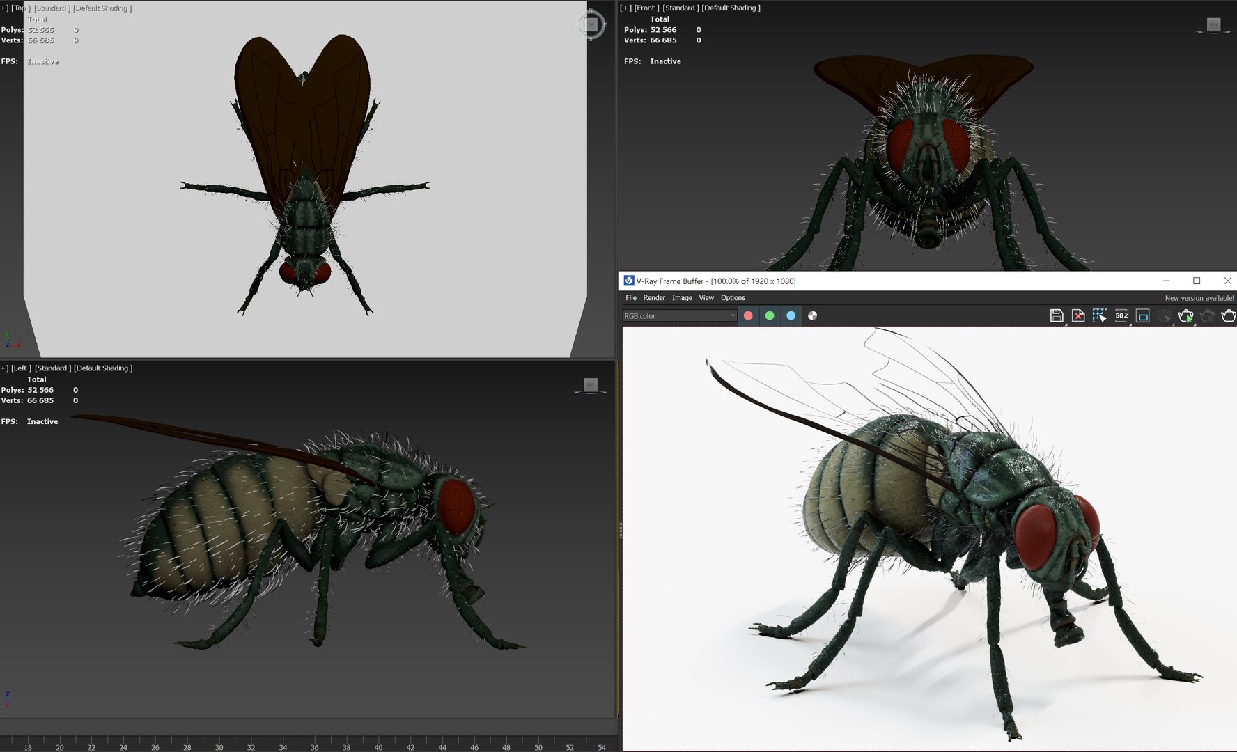3D Model Fly Static - TurboSquid 2008851