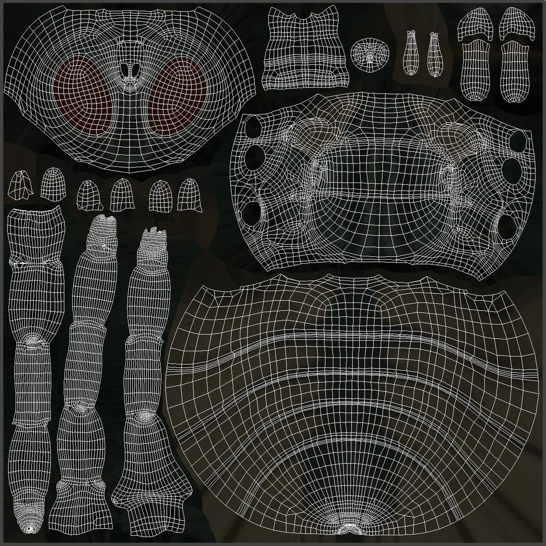 3D Model Fly Static - TurboSquid 2008851