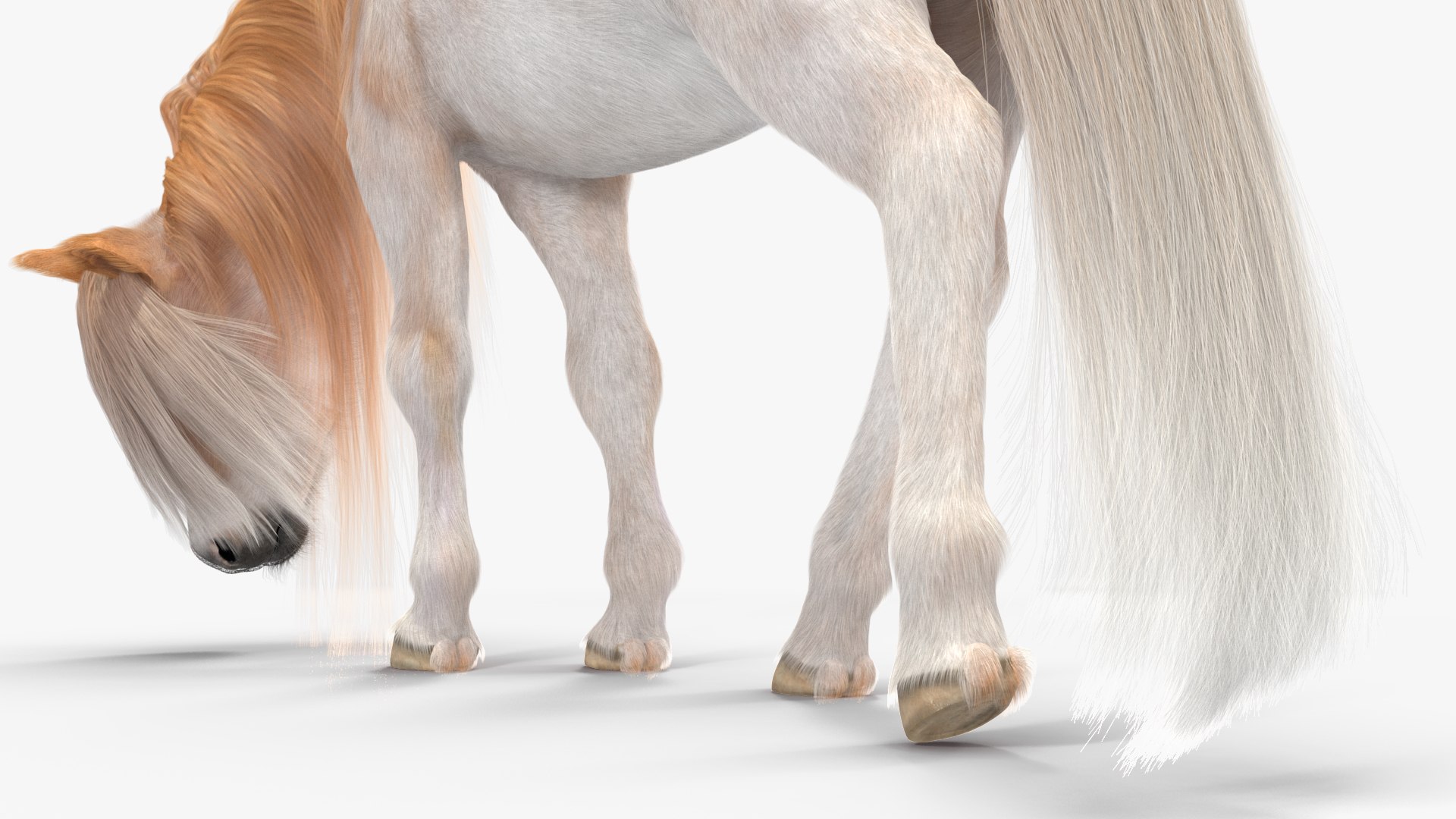 3D Pony With Long Mane Grazing Fur Model - TurboSquid 2236589