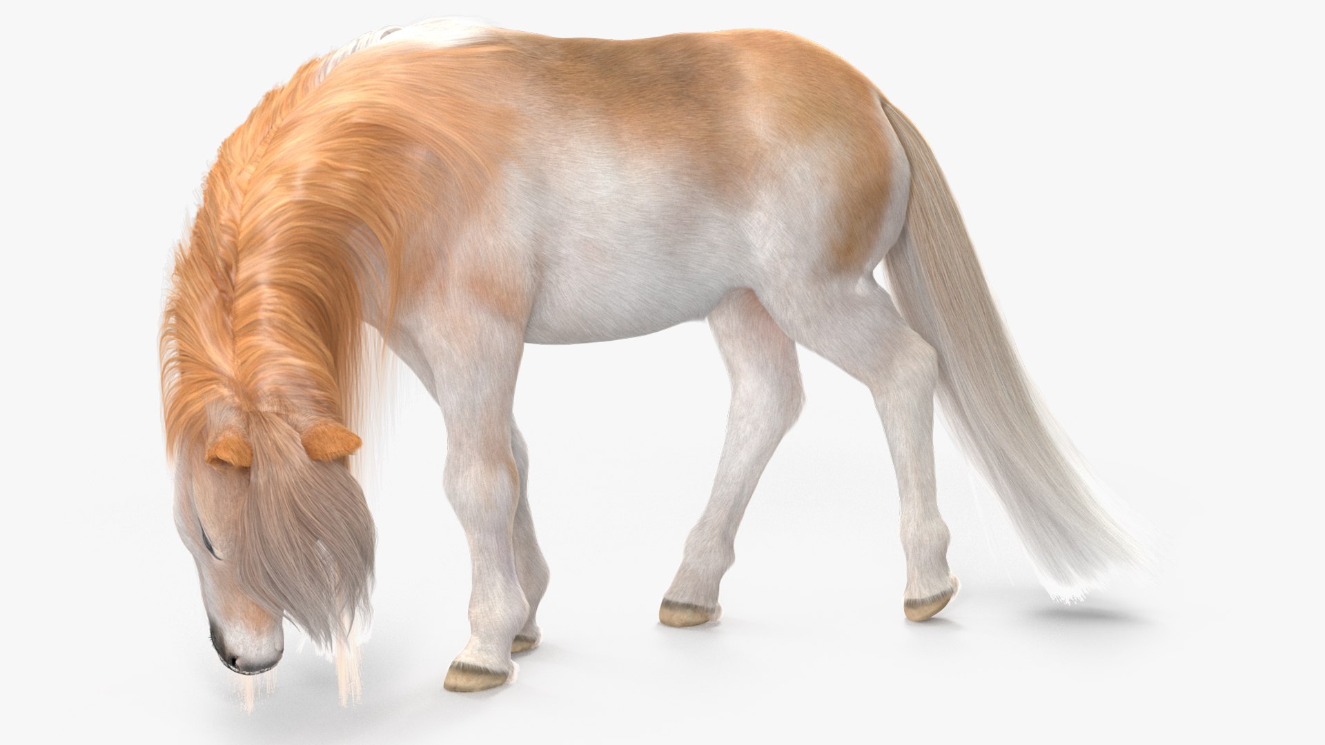 3D Pony With Long Mane Grazing Fur Model - TurboSquid 2236589