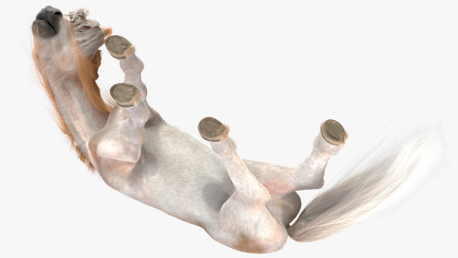 3D Pony With Long Mane Grazing Fur Model - TurboSquid 2236589