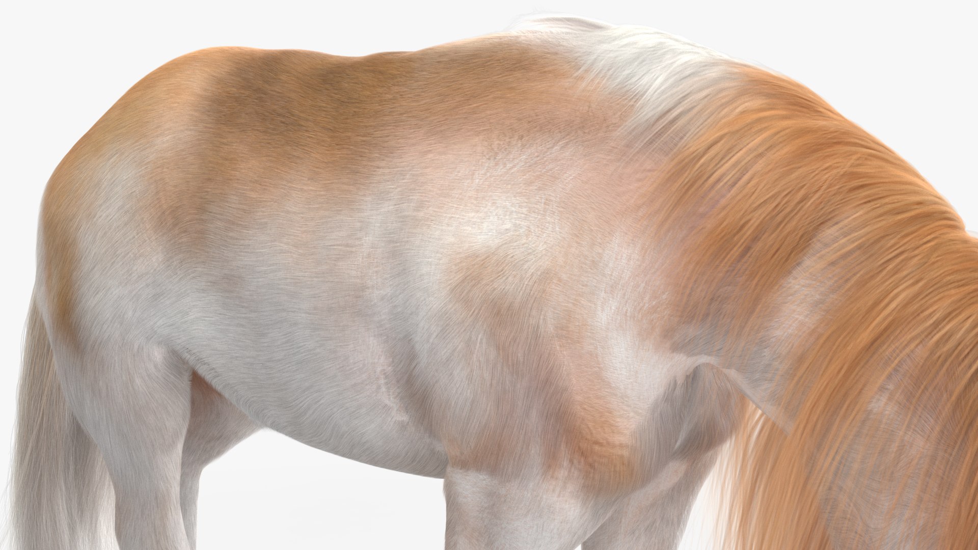 3D Pony With Long Mane Grazing Fur Model - TurboSquid 2236589