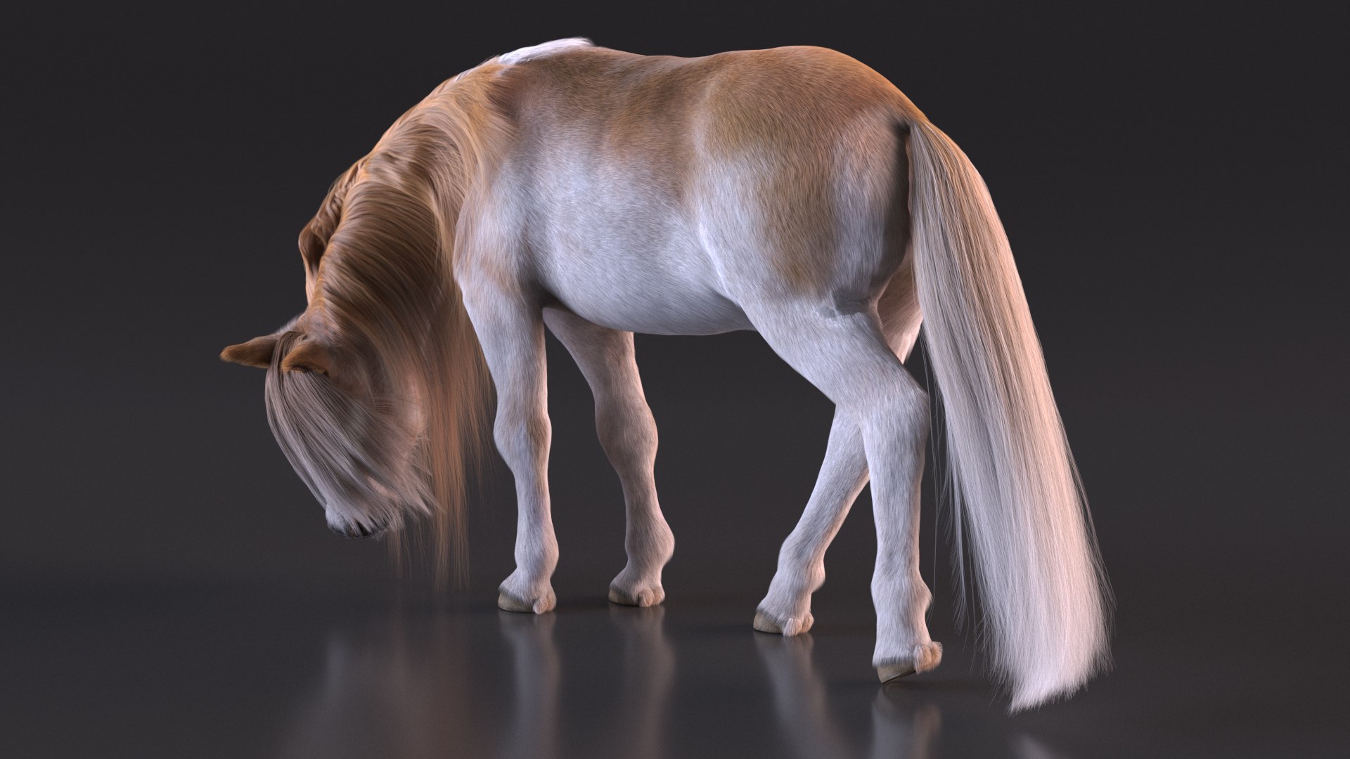 3D Pony With Long Mane Grazing Fur Model - TurboSquid 2236589
