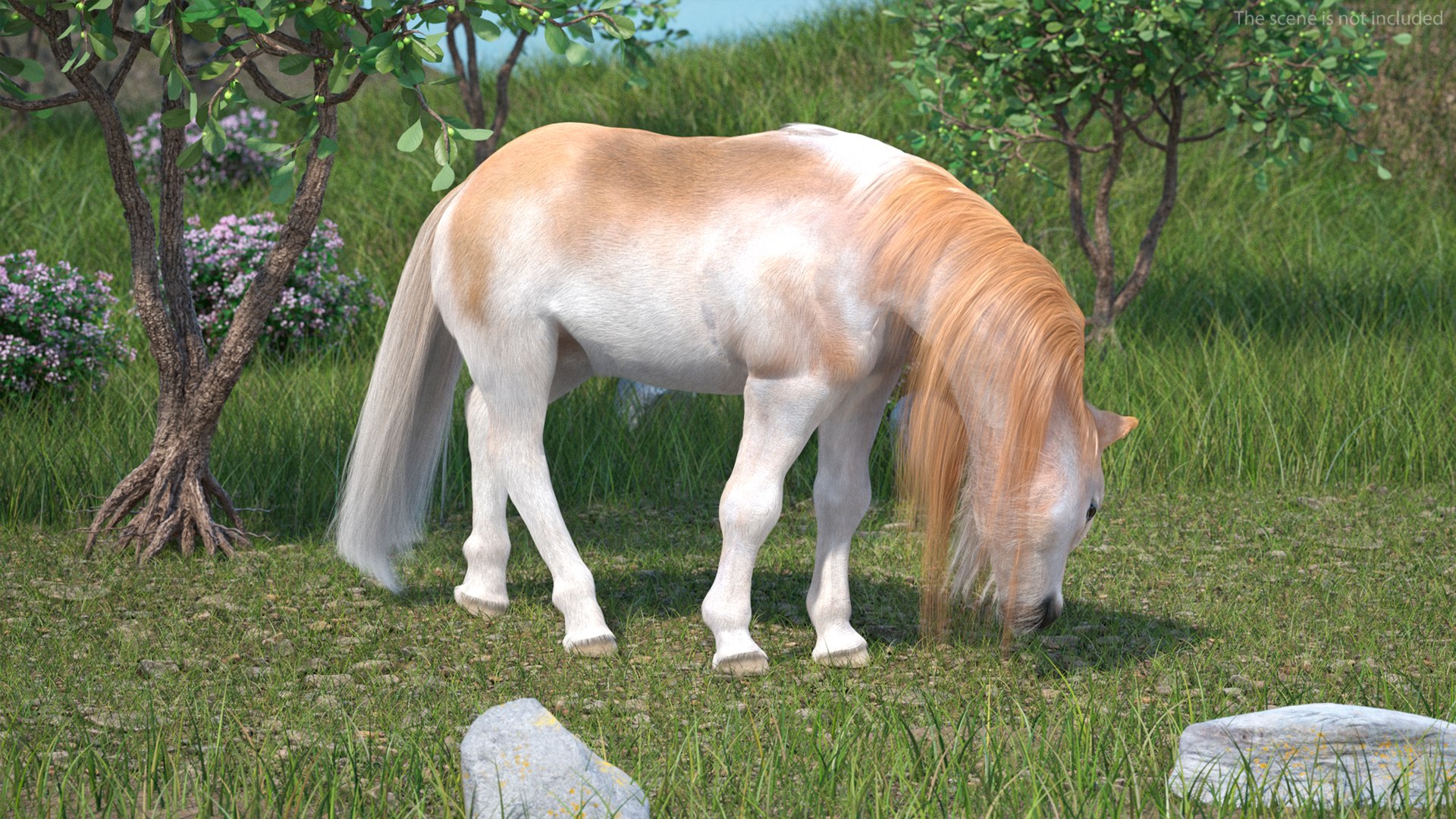 3D Pony With Long Mane Grazing Fur Model - TurboSquid 2236589