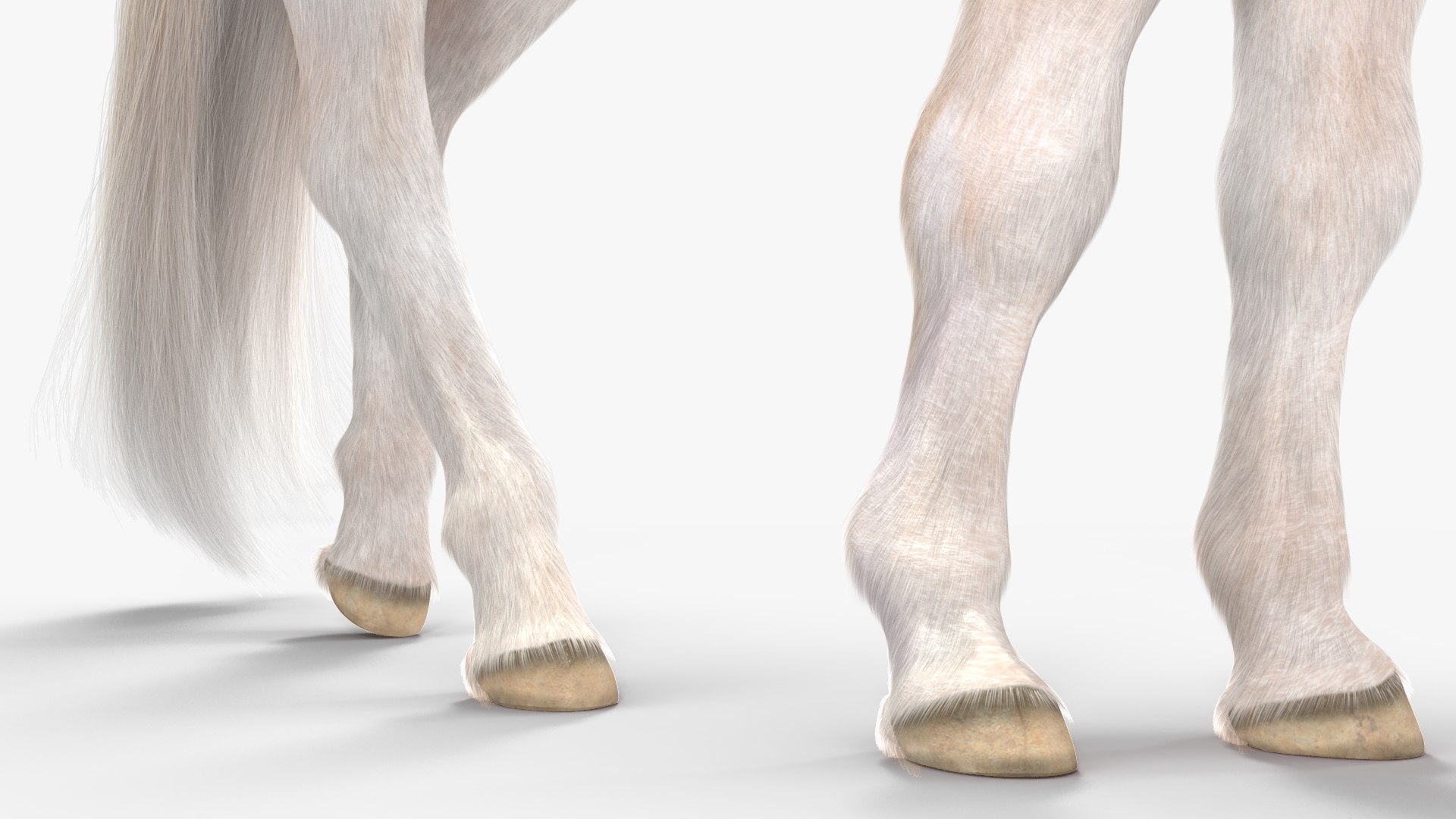 3D Pony With Long Mane Grazing Fur Model - TurboSquid 2236589