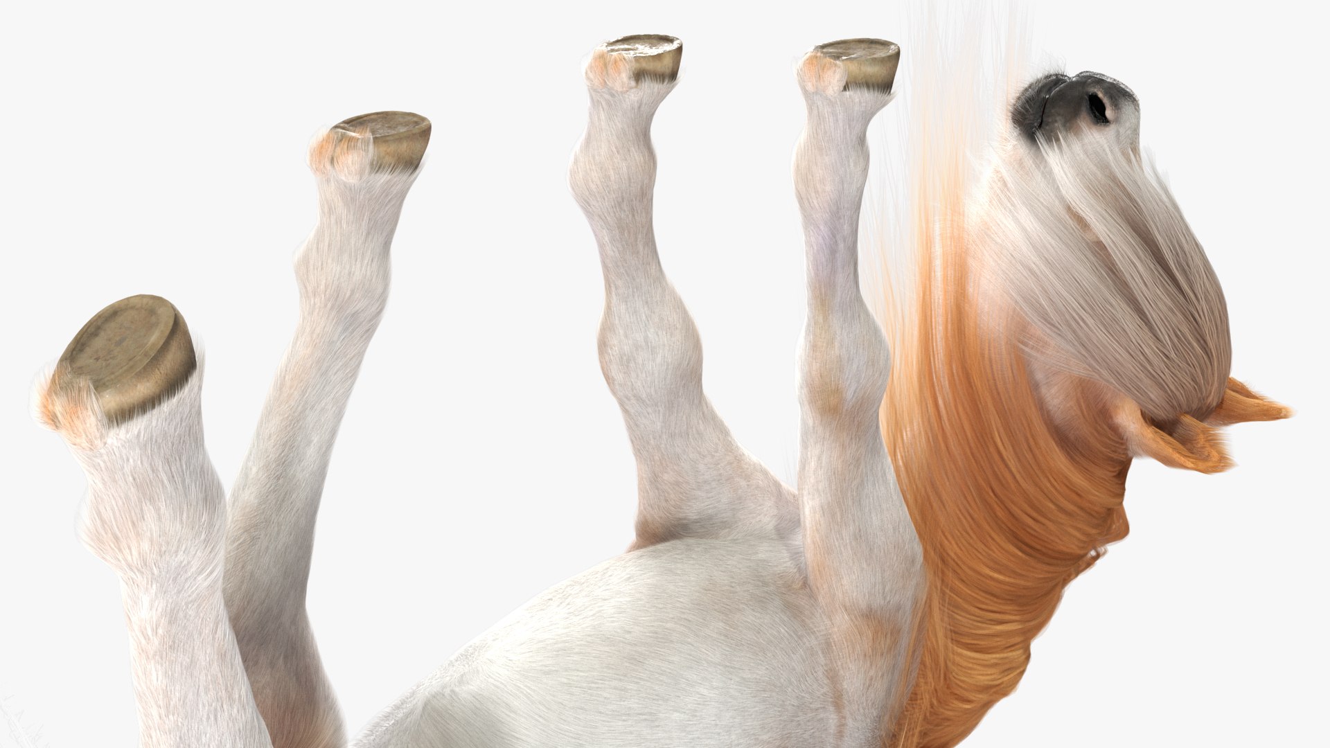 3D Pony With Long Mane Grazing Fur Model - TurboSquid 2236589