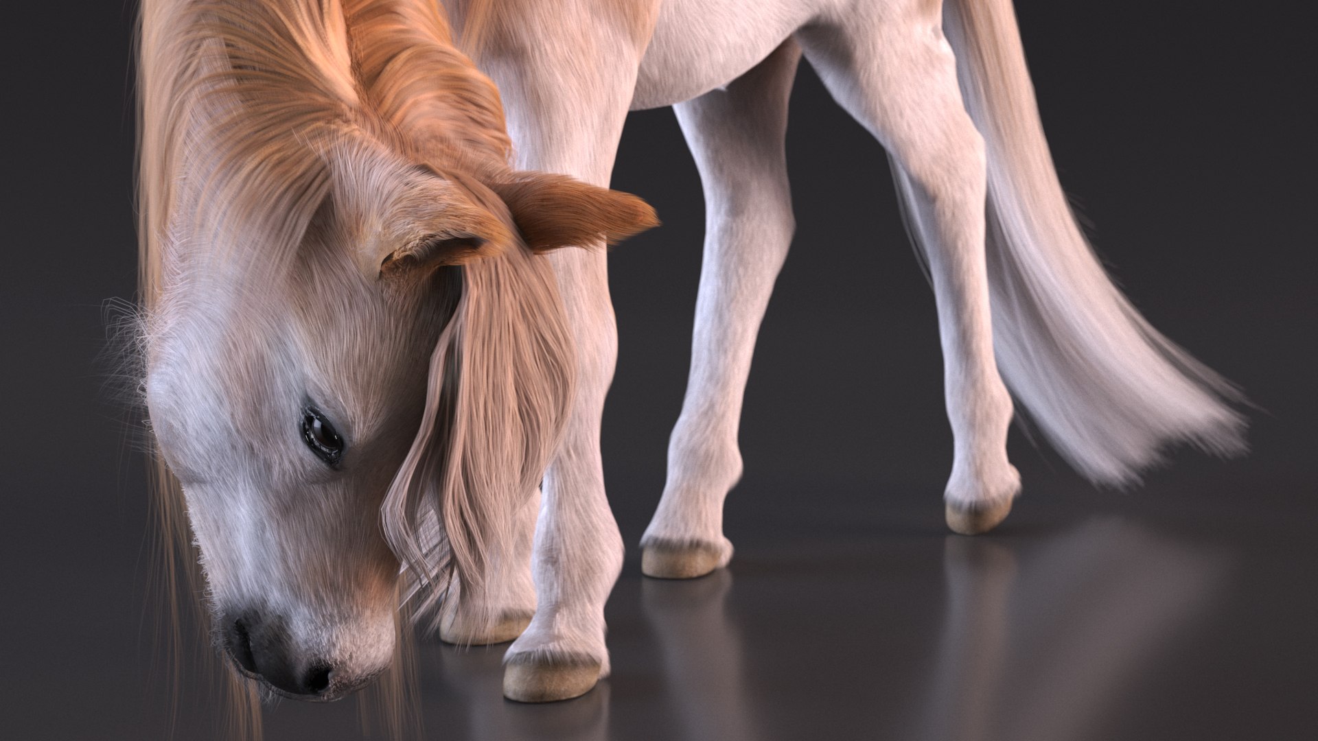 3D Pony With Long Mane Grazing Fur Model - TurboSquid 2236589