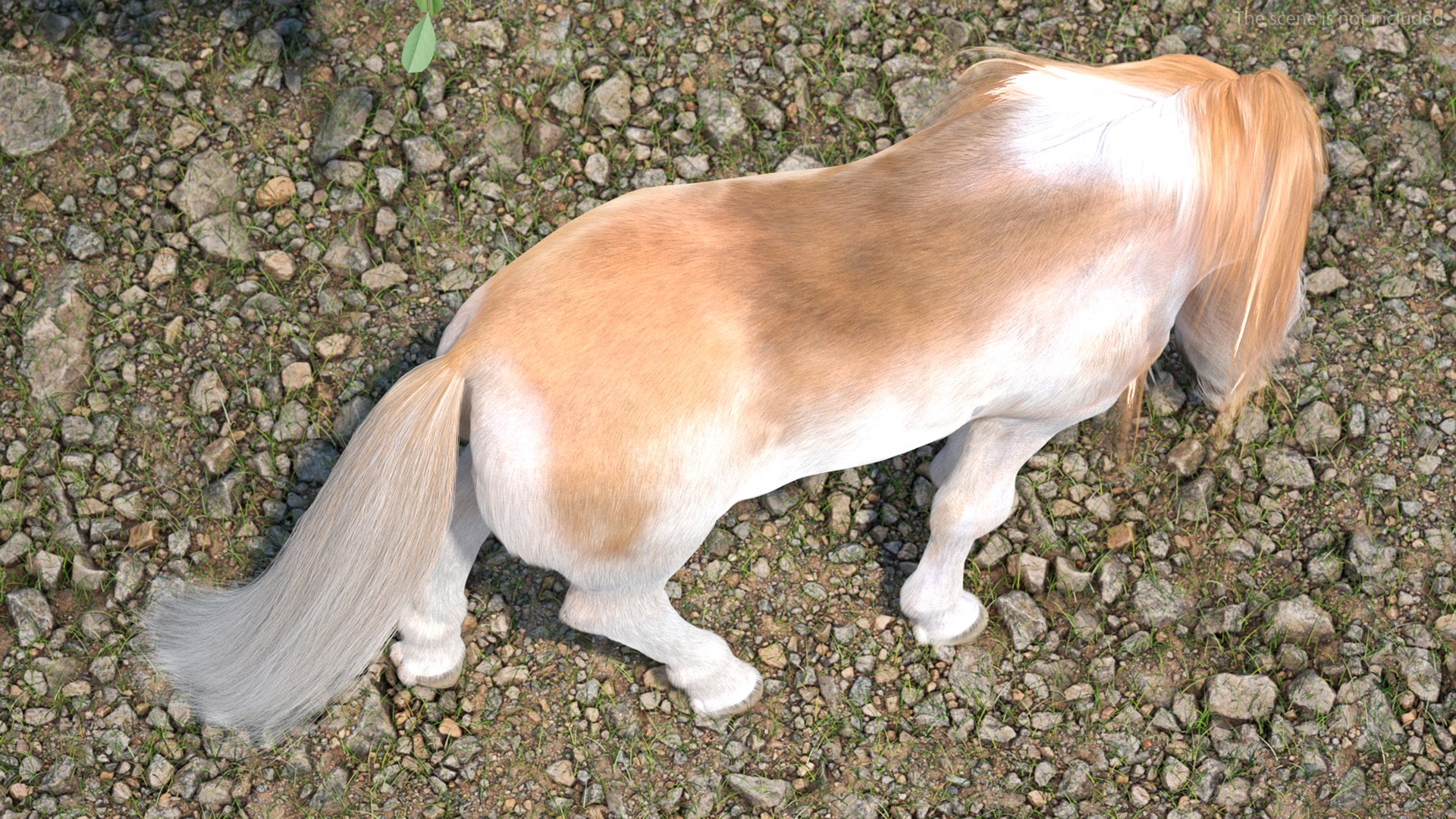 3D Pony With Long Mane Grazing Fur Model - TurboSquid 2236589