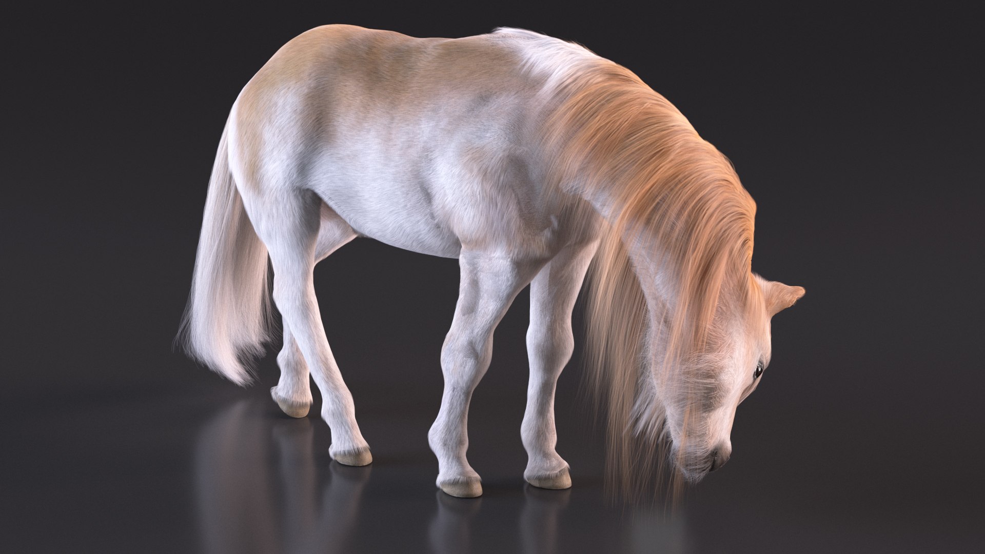 3D Pony With Long Mane Grazing Fur Model - TurboSquid 2236589