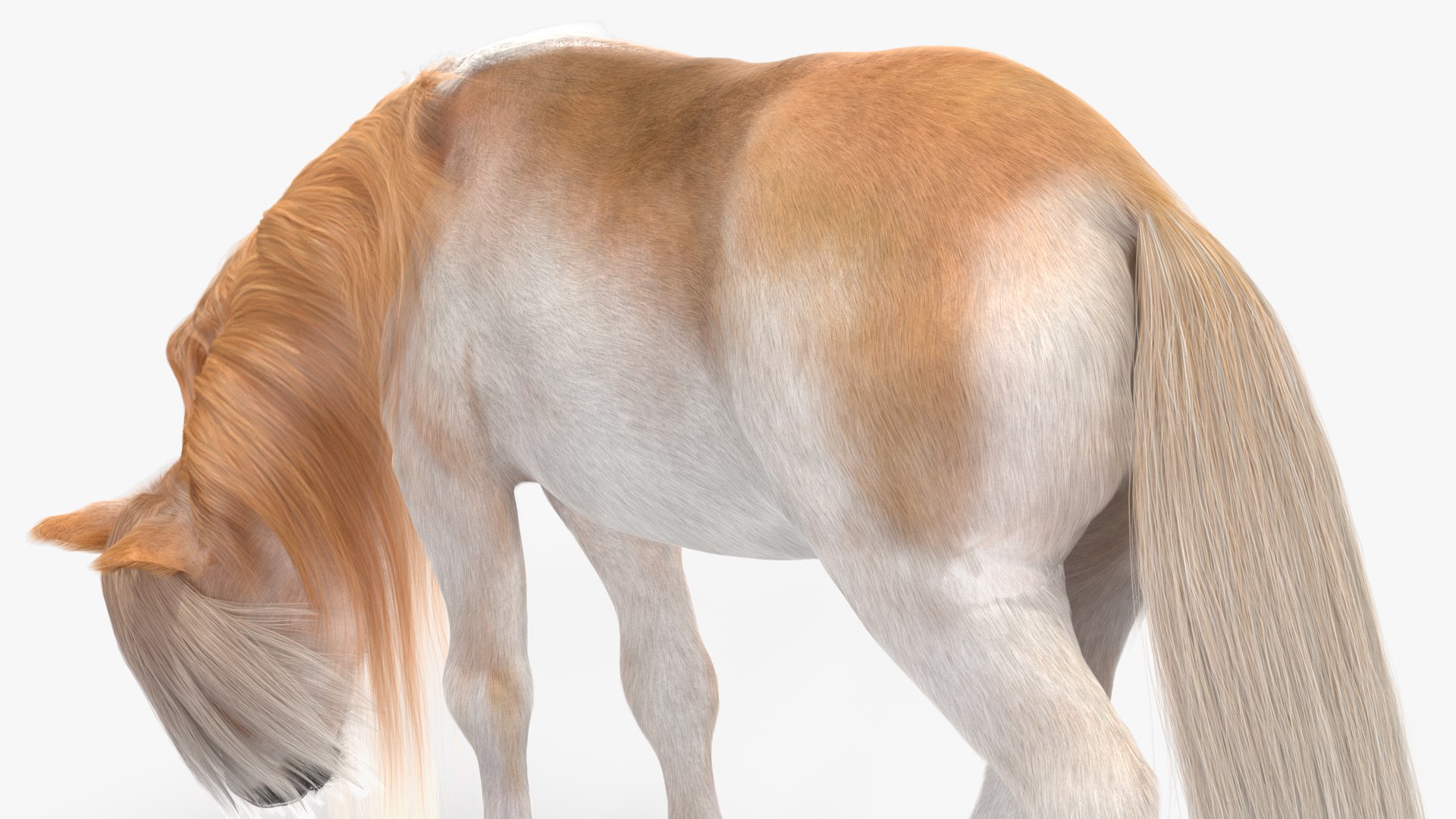 3D Pony With Long Mane Grazing Fur Model - TurboSquid 2236589