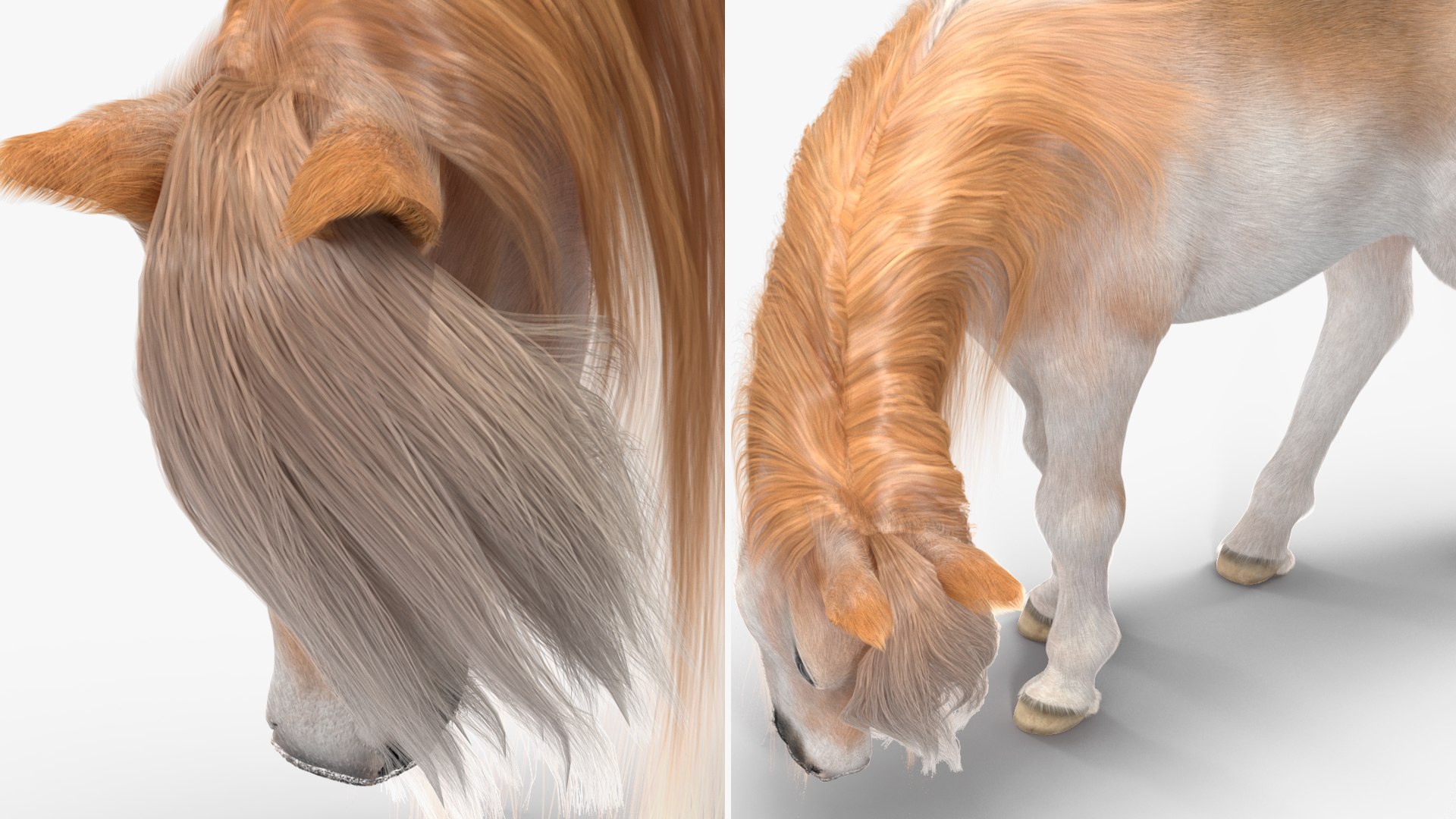3D Pony With Long Mane Grazing Fur Model - TurboSquid 2236589