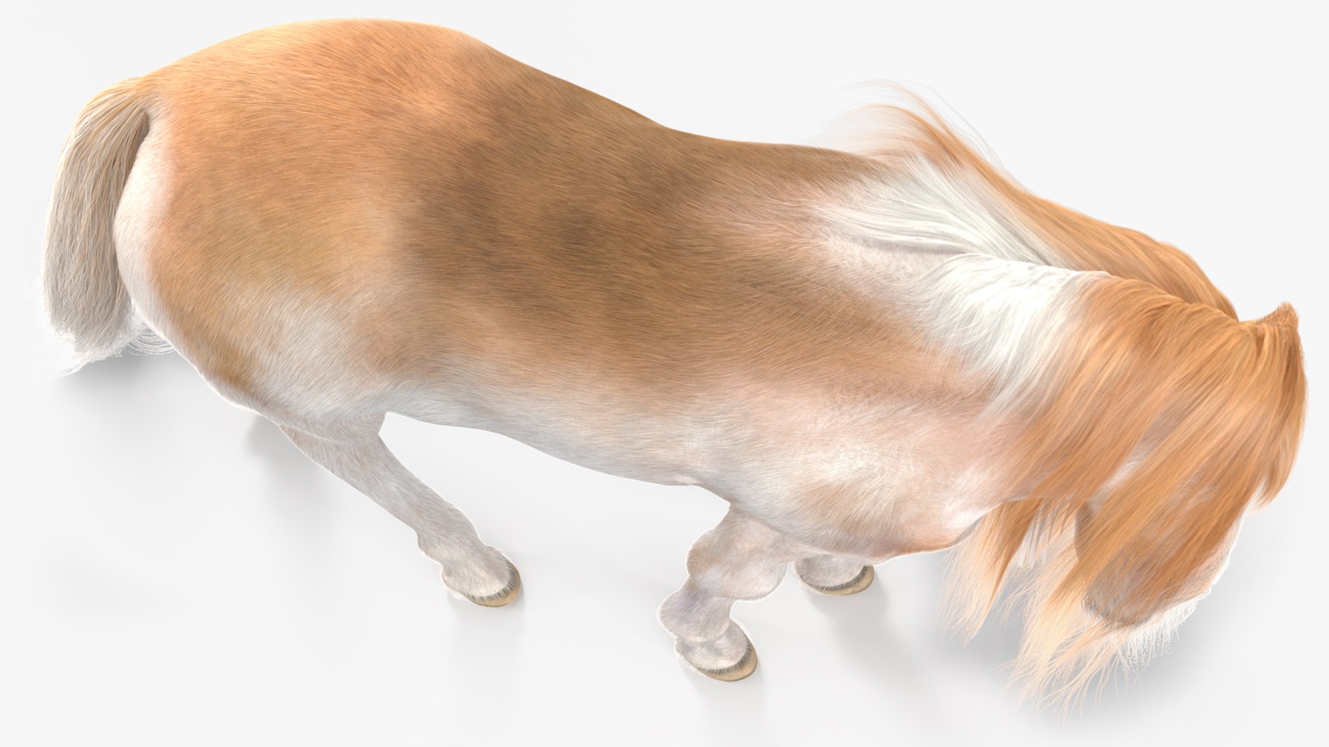3D Pony With Long Mane Grazing Fur Model - TurboSquid 2236589