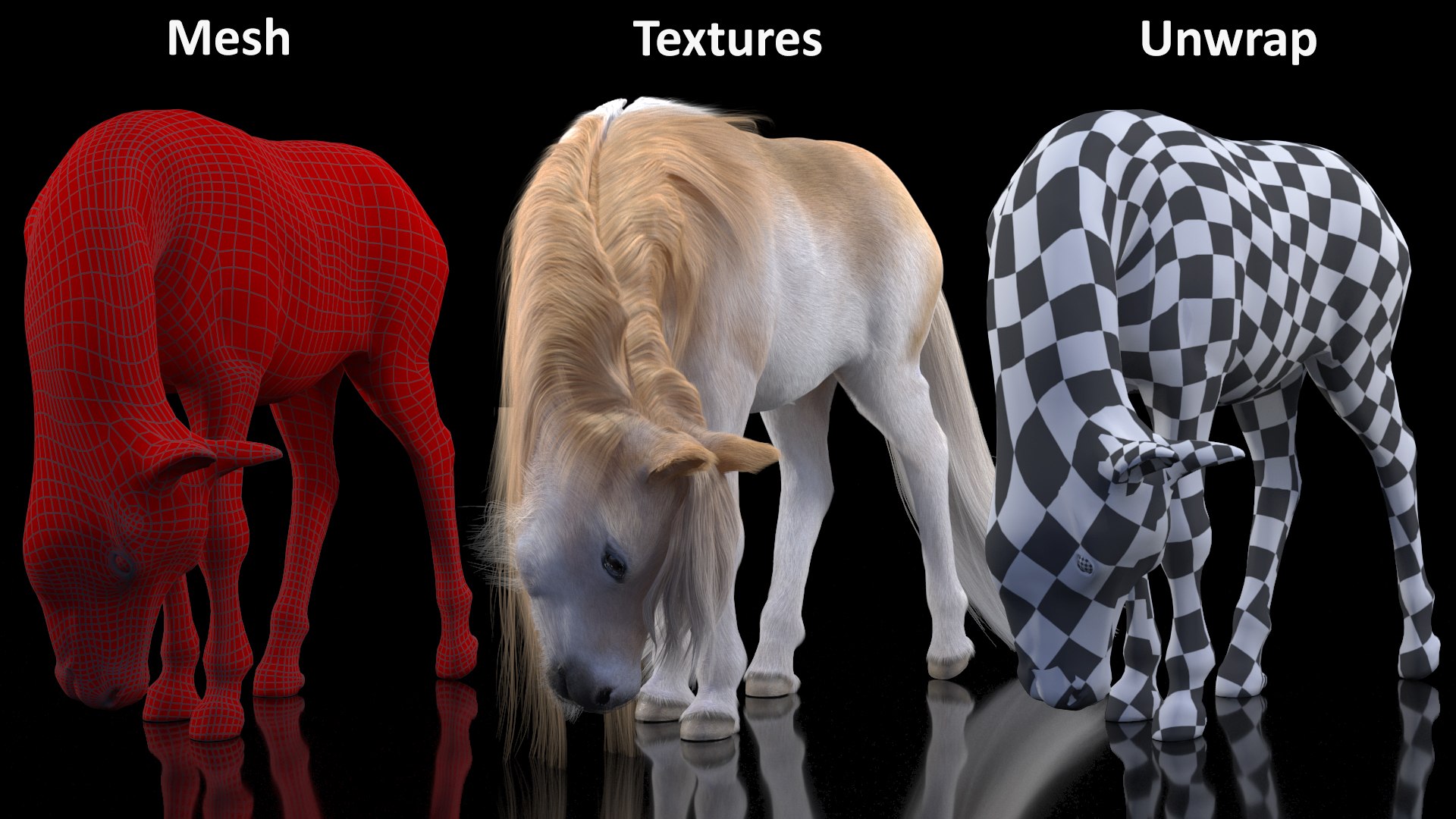 3D Pony With Long Mane Grazing Fur Model - TurboSquid 2236589
