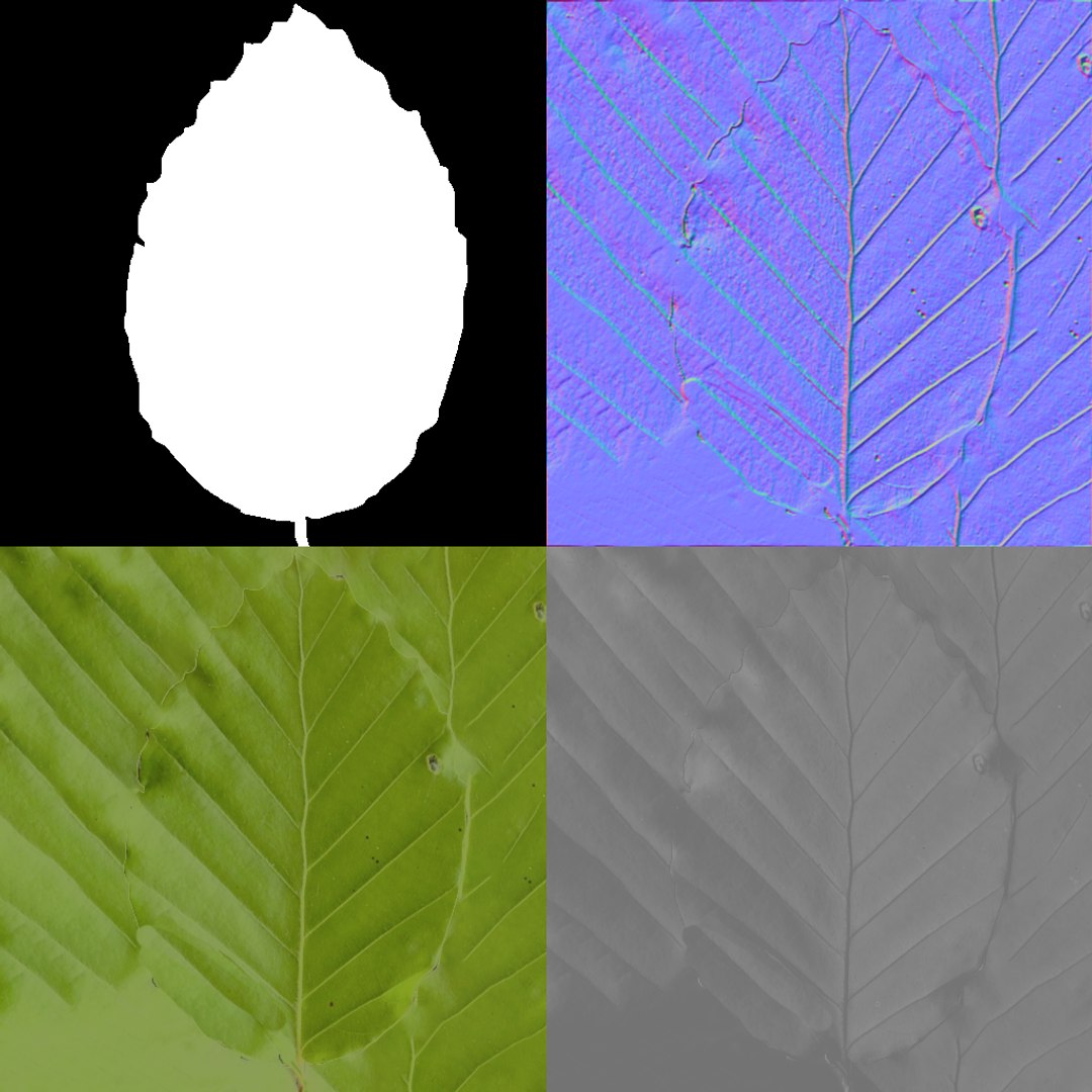 3D Old Beech Tree - TurboSquid 1293789