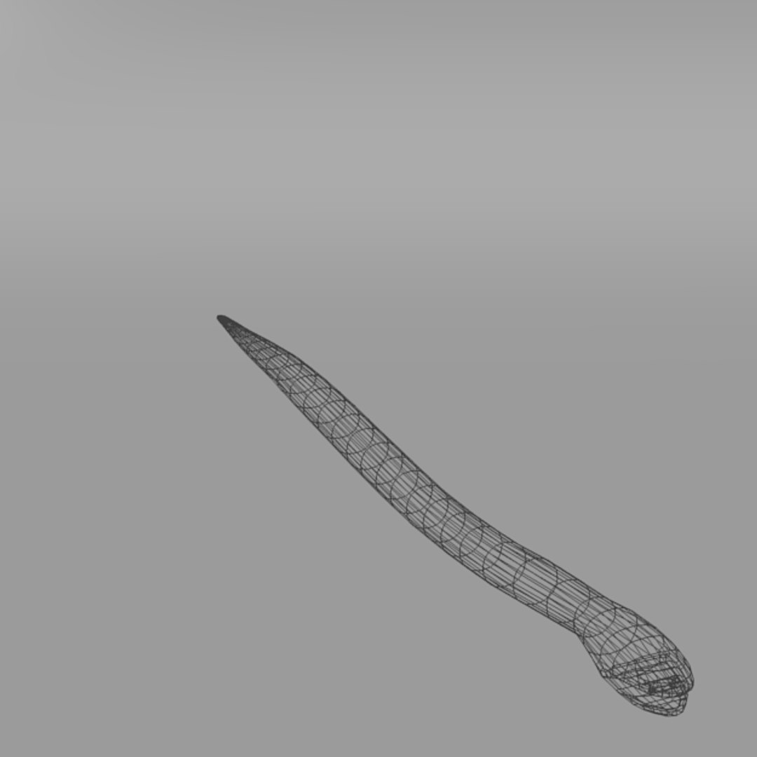 Snake Model - TurboSquid 1318979