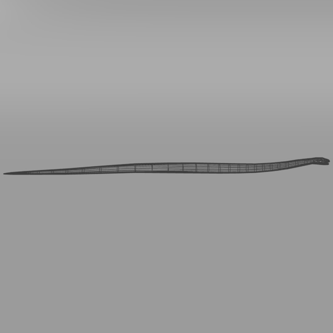 Snake Model - TurboSquid 1318979