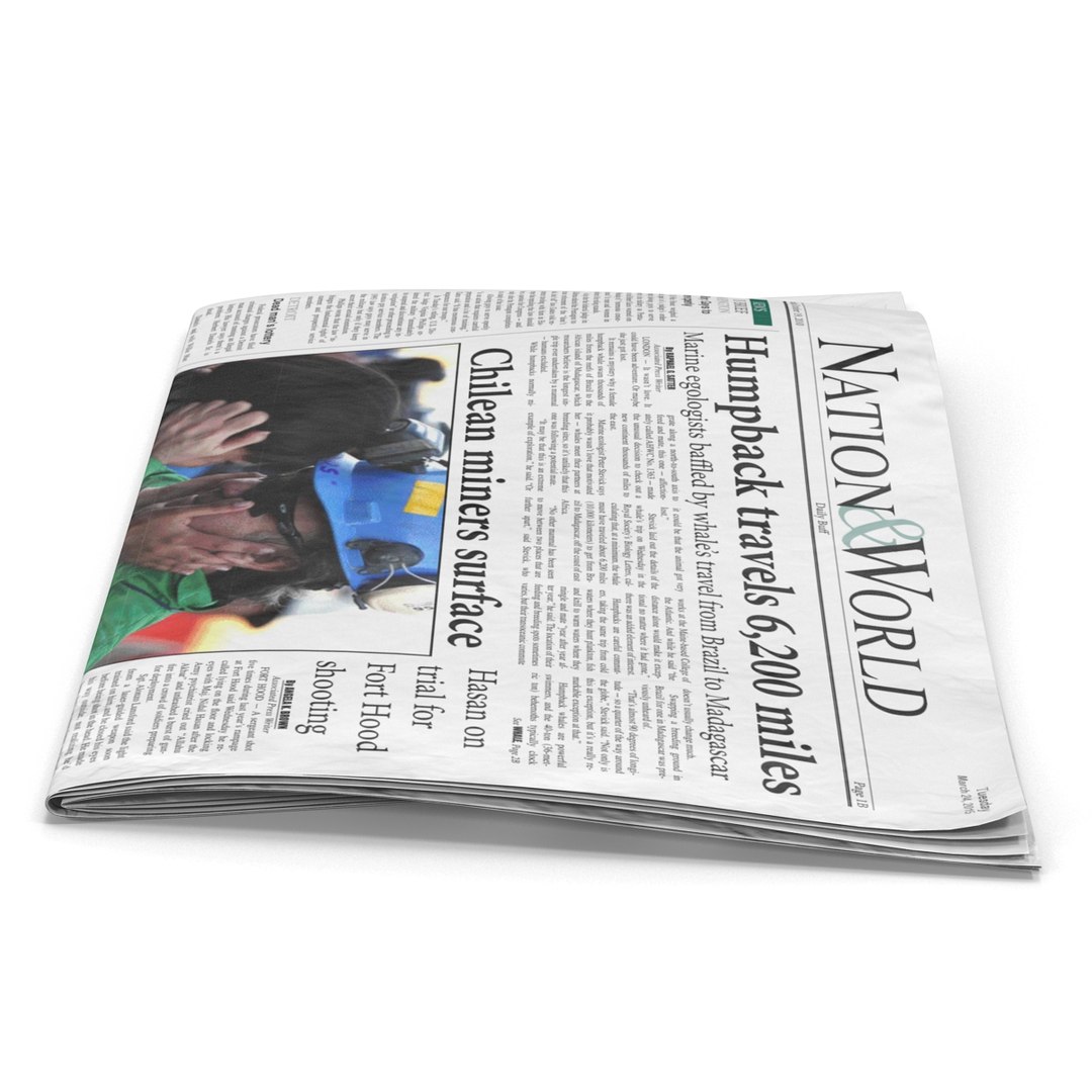 3d model newspapers realistic