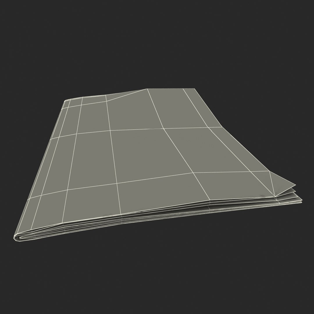3d model newspapers realistic
