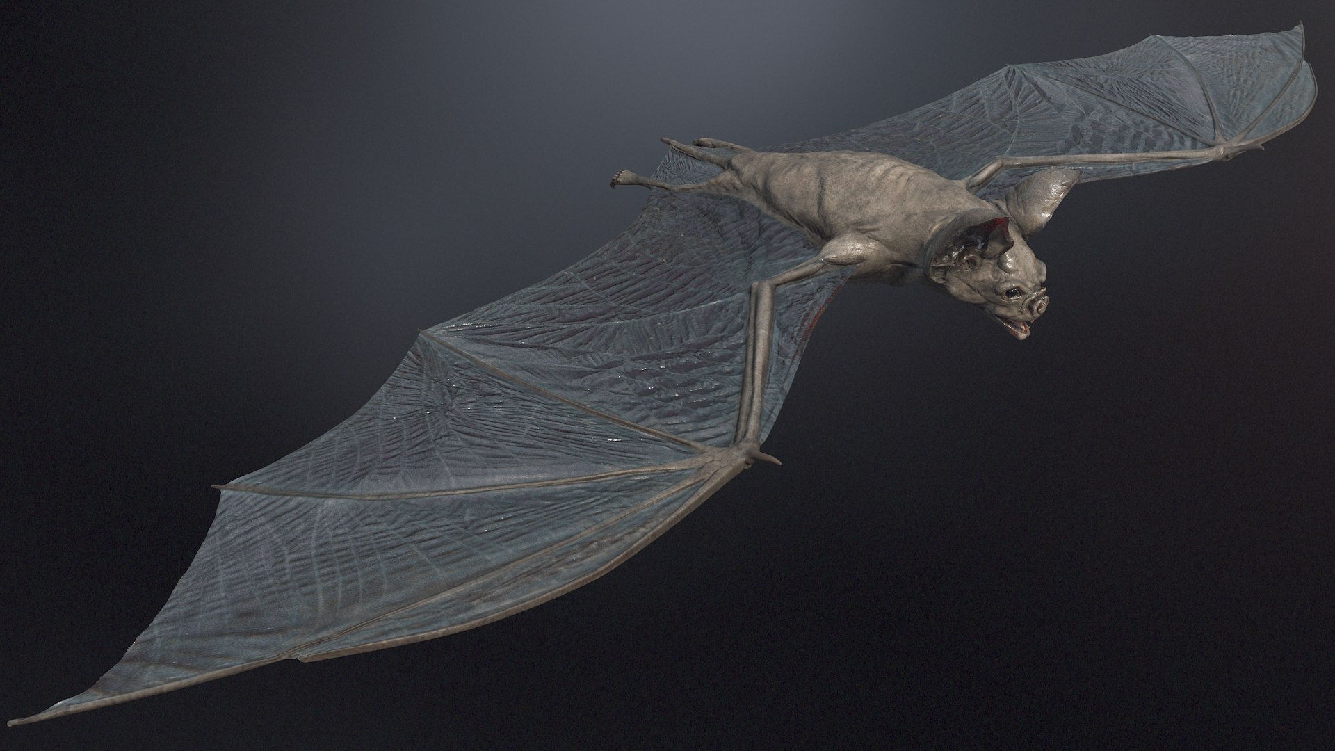 vampire bat 3d model