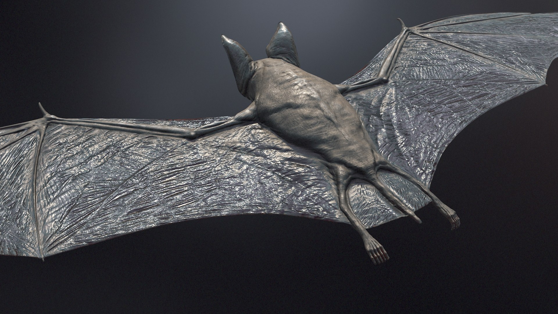 vampire bat 3d model