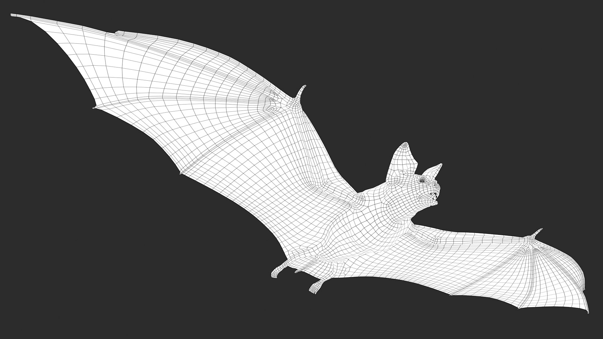 vampire bat 3d model