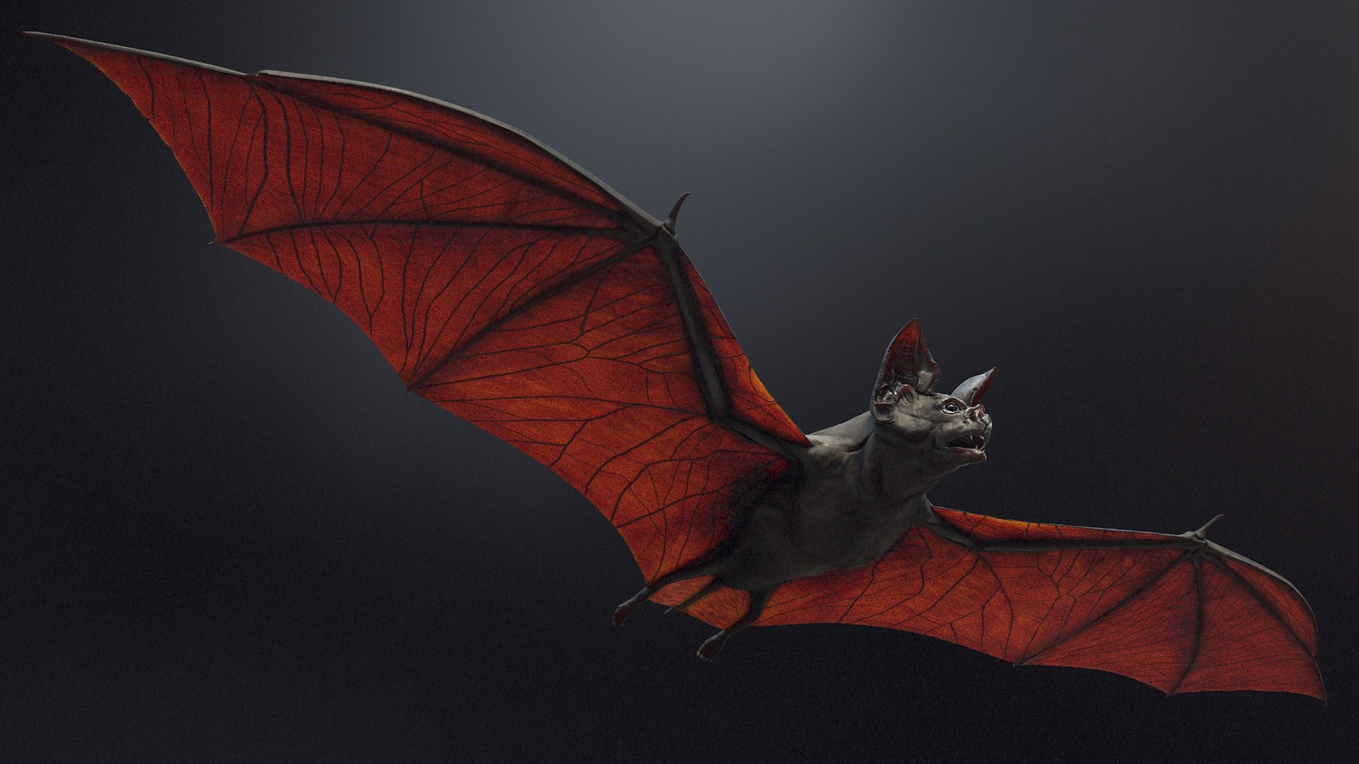 vampire bat 3d model