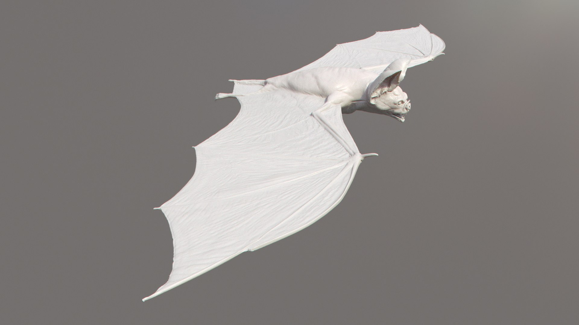 vampire bat 3d model
