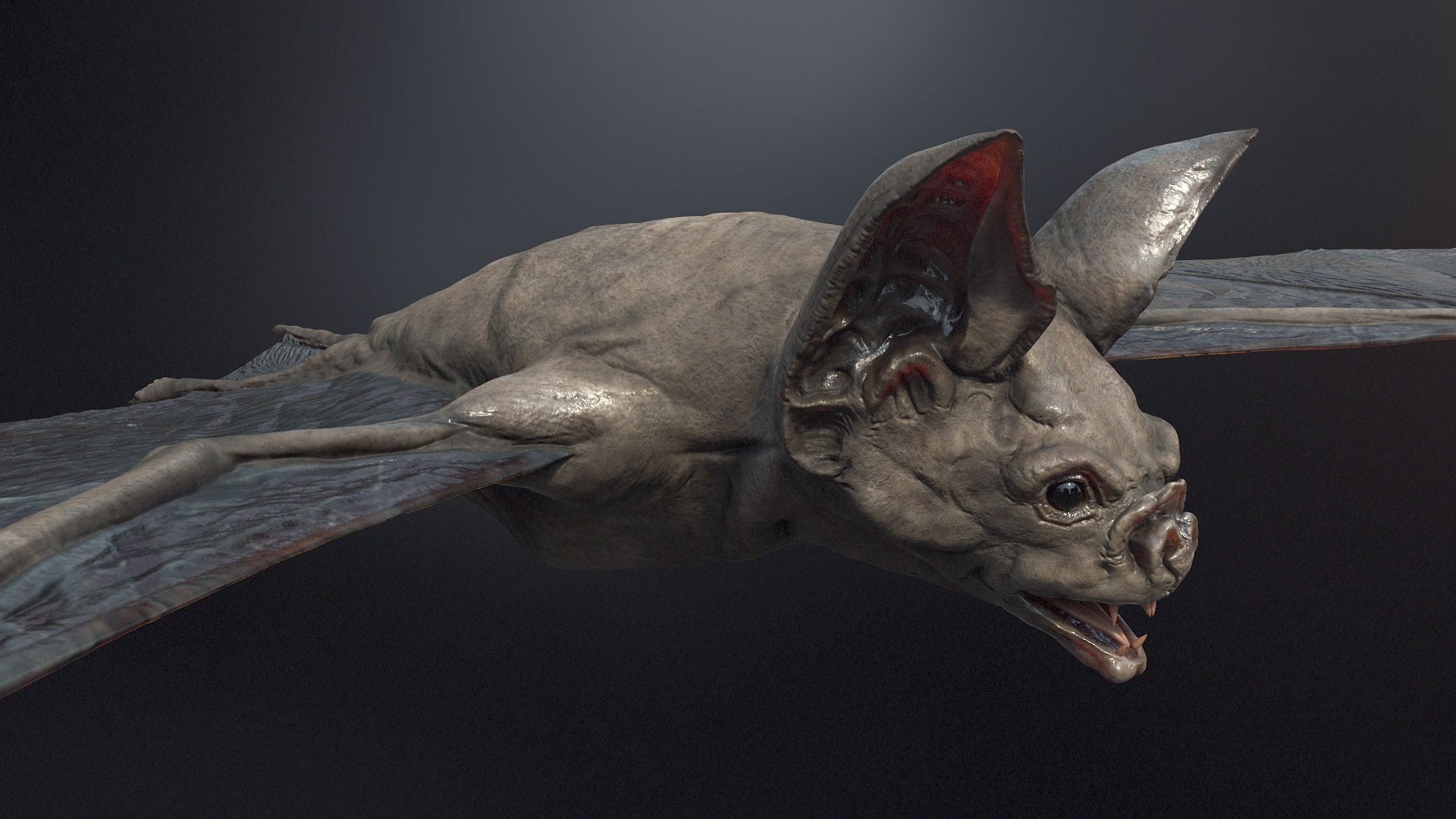 vampire bat 3d model