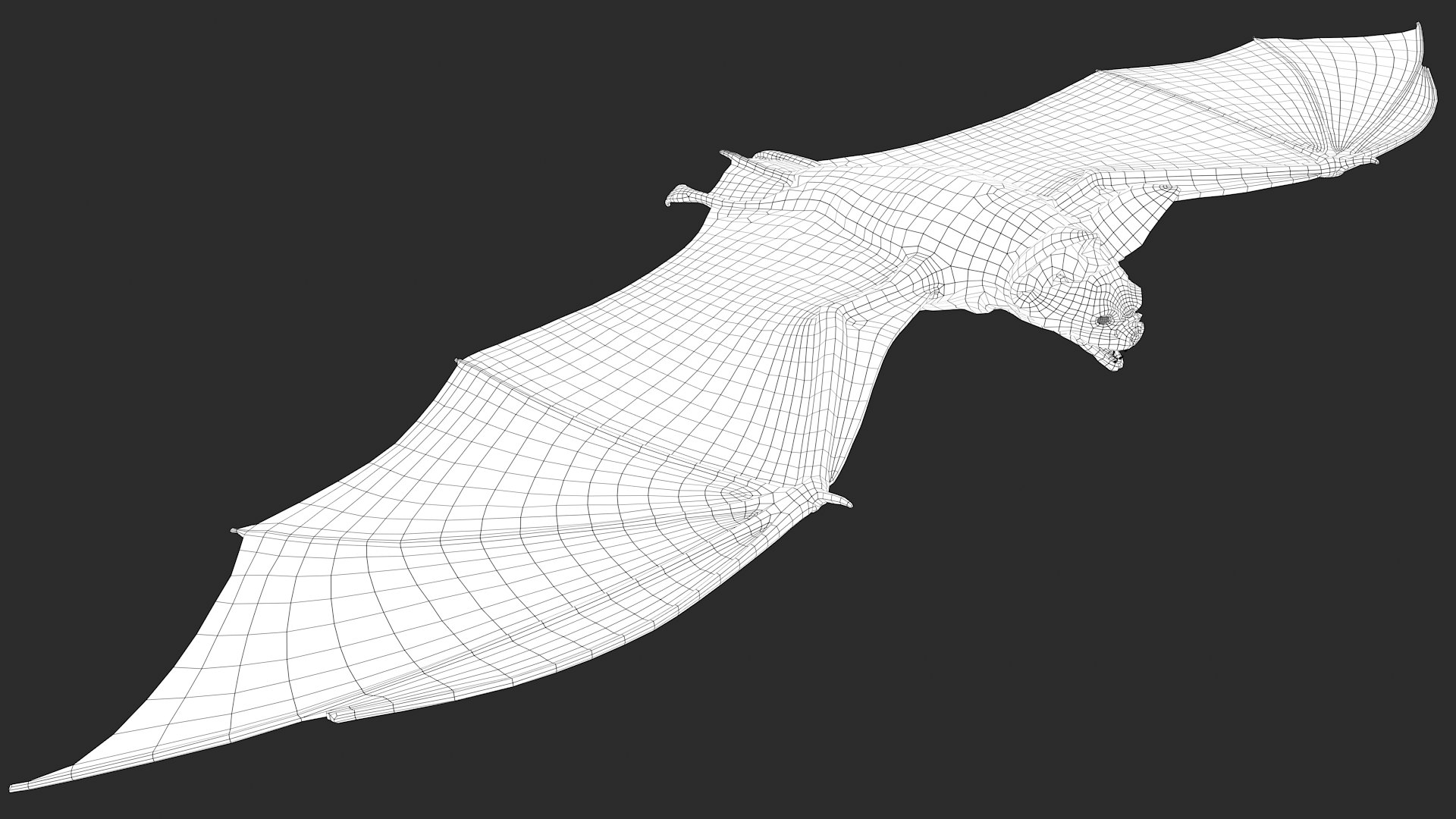 vampire bat 3d model