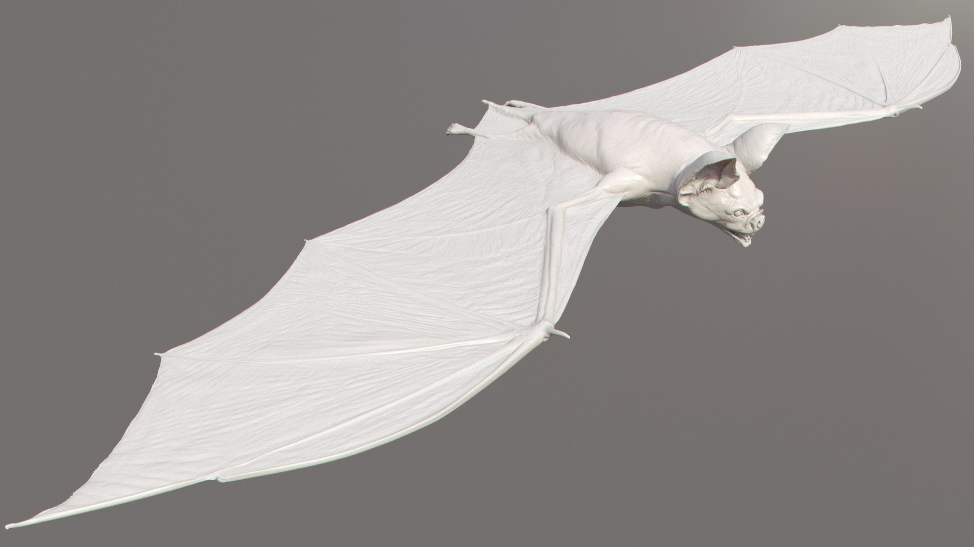 vampire bat 3d model