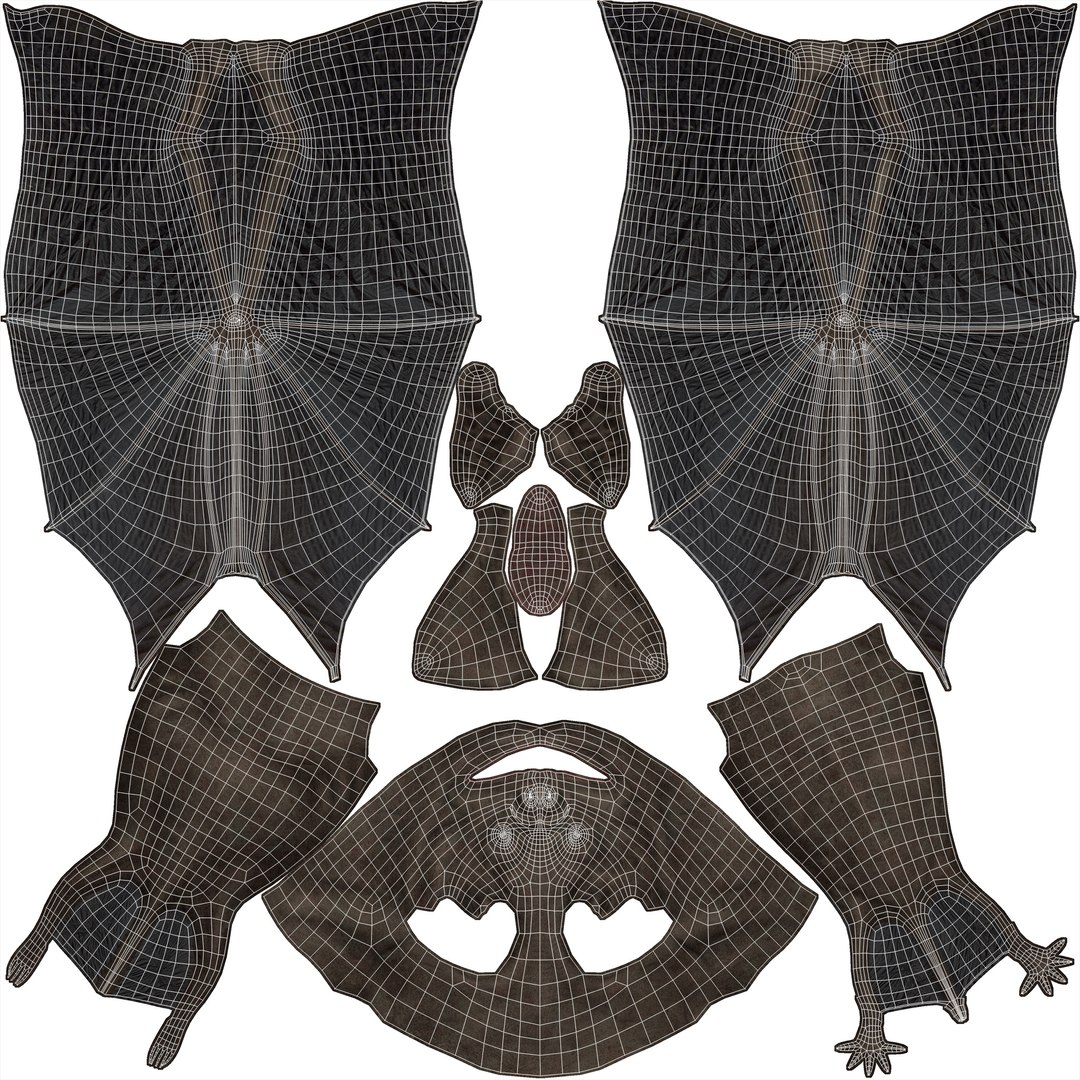 vampire bat 3d model