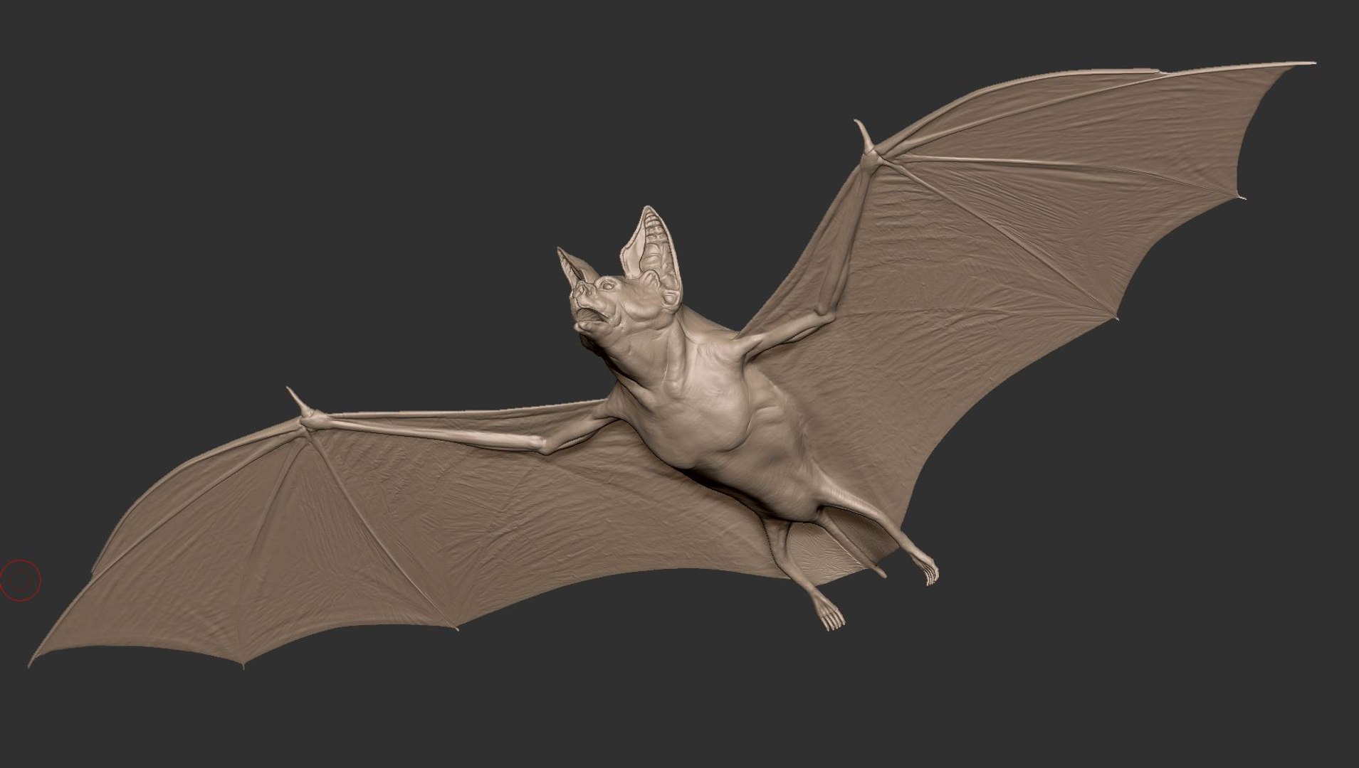 vampire bat 3d model