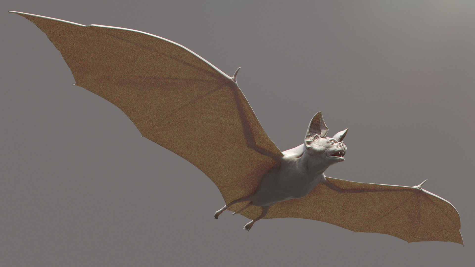vampire bat 3d model